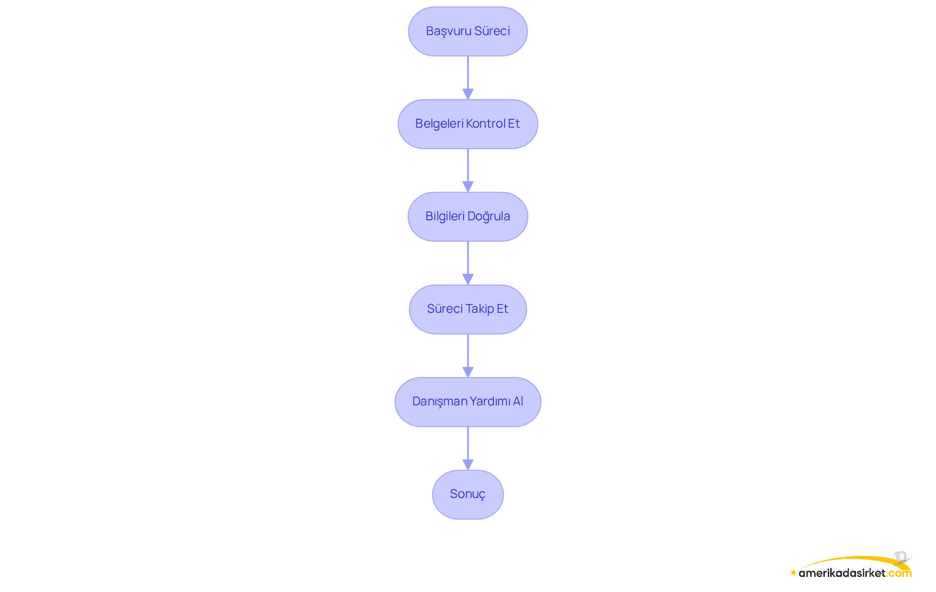 Her kutu, başvuru sürecinde dikkat edilmesi gereken bir adımı temsil eder. Oklar, adımlar arasındaki akışı gösterir; bu sayede hangi adımın hangi adımın ardından gelmesi gerektiğini kolayca görebilirsiniz.