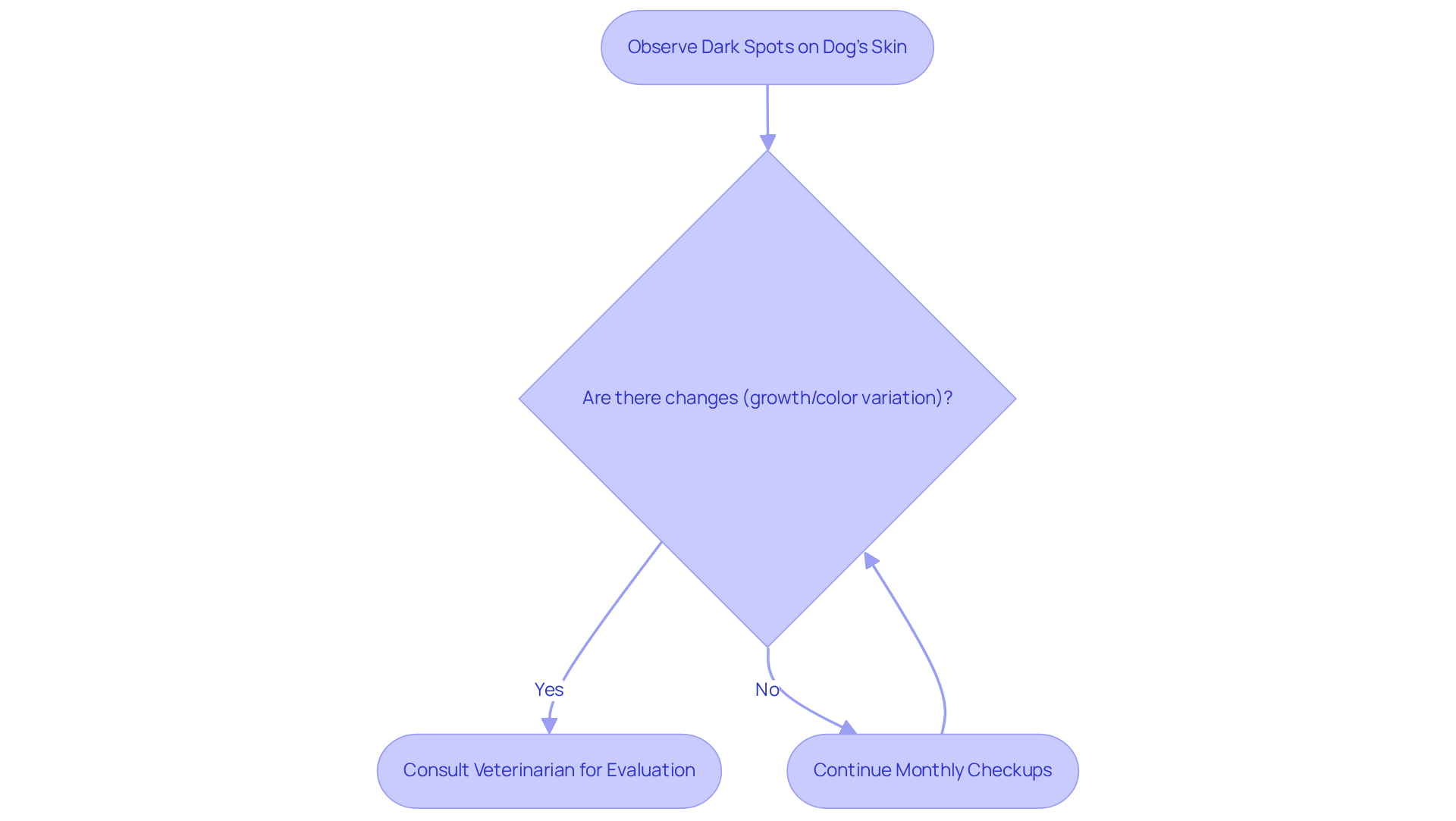 Follow the steps in this flowchart to ensure your dog's skin health. Start by observing dark spots and check for any changes. If there are changes, consult your veterinarian to discuss further steps. Follow the steps in this flowchart to ensure your dog's skin health. Start by observing dark spots and check for any changes. If there are changes, consult your veterinarian to discuss further steps.