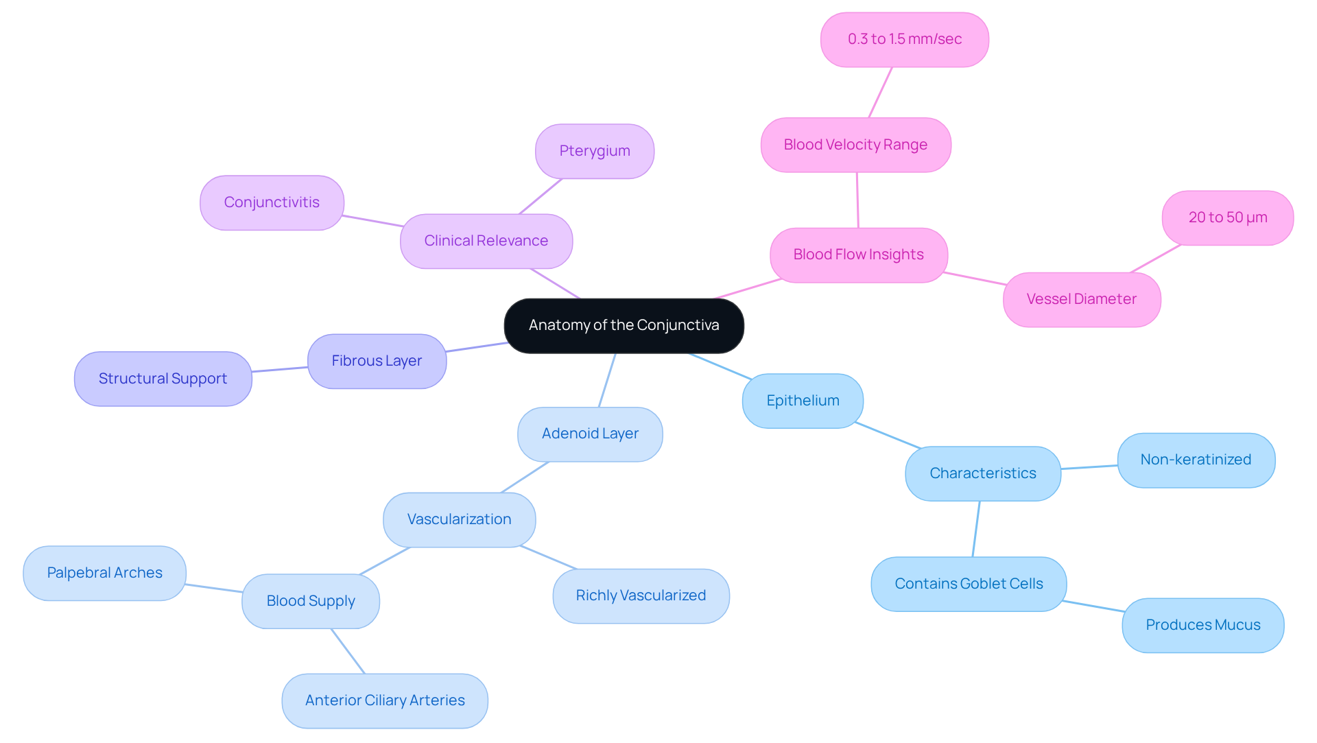 Start at the center with the conjunctiva, then explore each layer by following the branches. Each layer has its own unique characteristics that contribute to eye health. Start at the center with the conjunctiva, then explore each layer by following the branches. Each layer has its own unique characteristics that contribute to eye health.