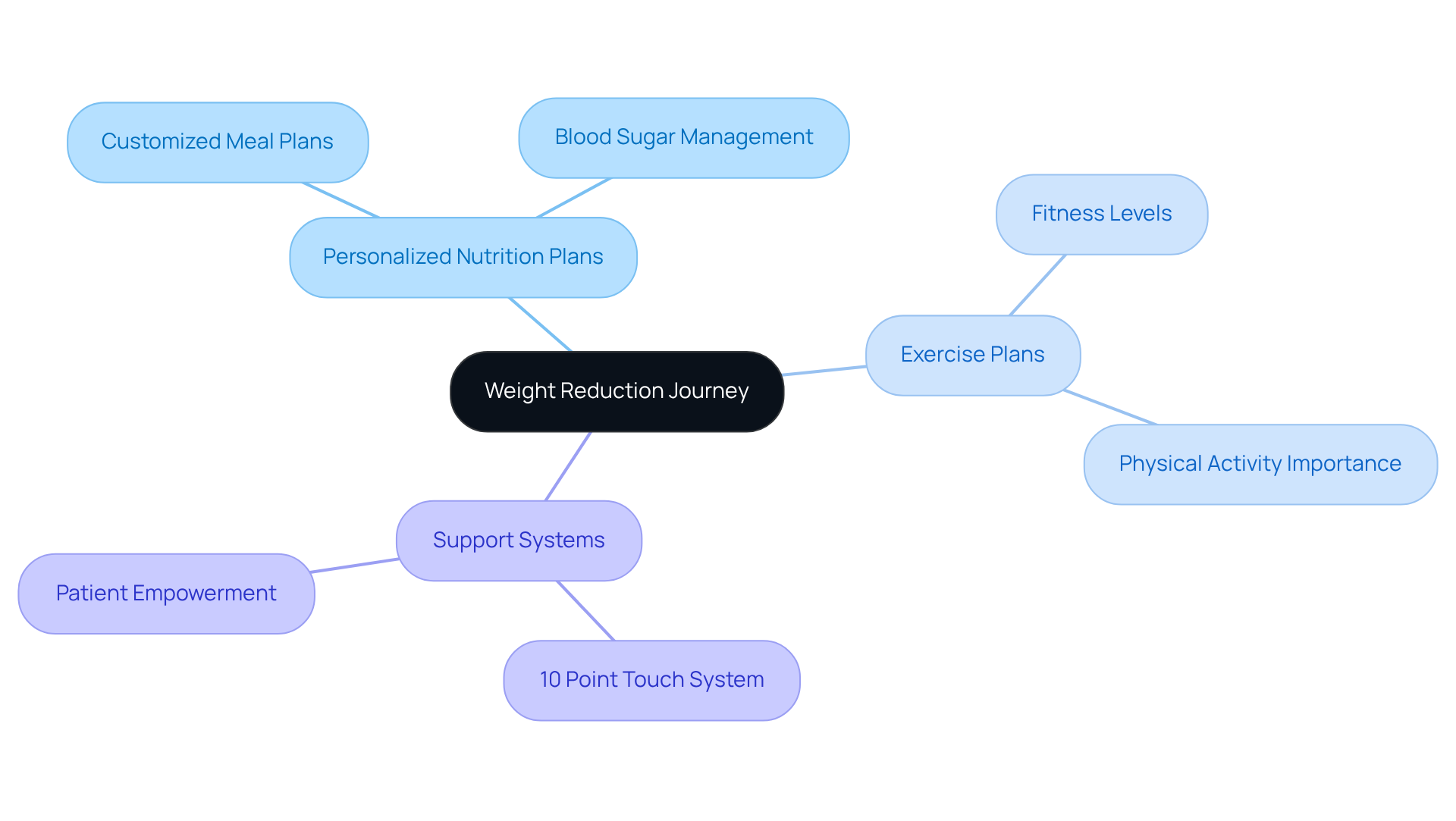 Start at the center with the weight reduction journey, then explore how personalized nutrition, exercise, and support work together to help you achieve your goals. Start at the center with the weight reduction journey, then explore how personalized nutrition, exercise, and support work together to help you achieve your goals.