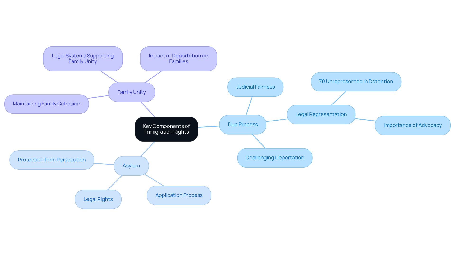 The central node represents the overarching theme of immigration rights. Each branch highlights a critical component, showing its significance and related aspects. It's a visual guide to understanding your rights and protections.