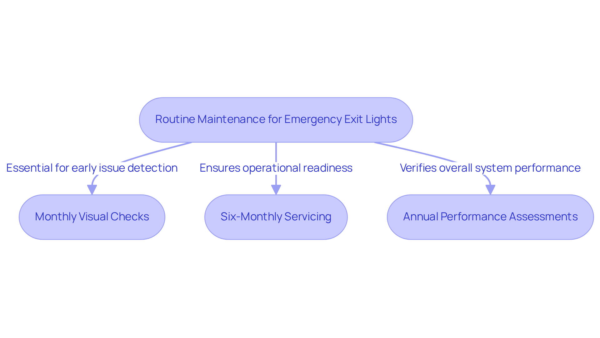This flowchart outlines the essential steps for maintaining emergency exit lights. Follow the arrows to see what needs to be done each month, every six months, and annually to keep your building compliant and safe.