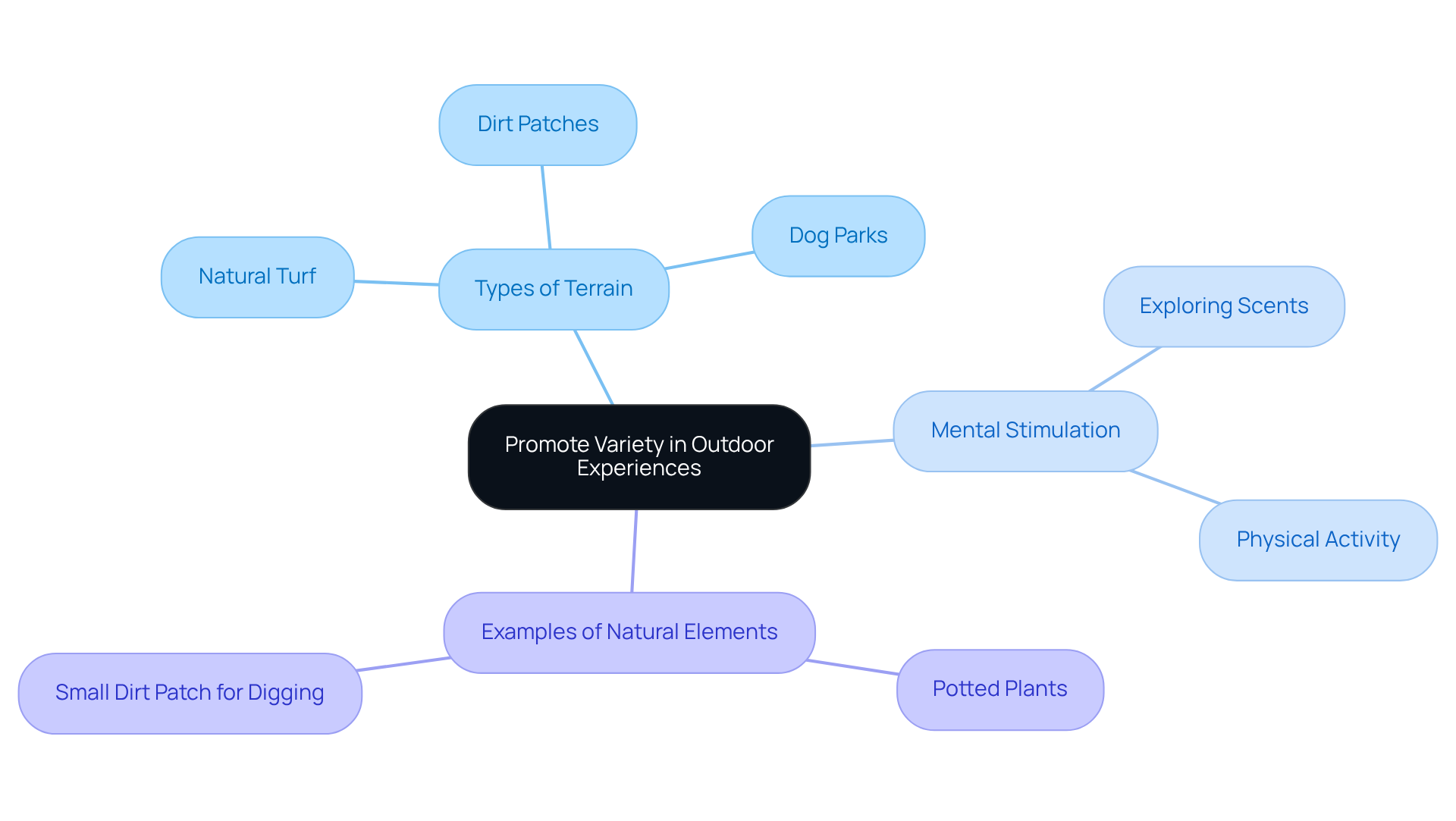 This mindmap shows how different outdoor experiences can benefit dogs. Start at the center with the main idea, then follow the branches to see how various terrains and elements contribute to a dog's happiness and well-being.