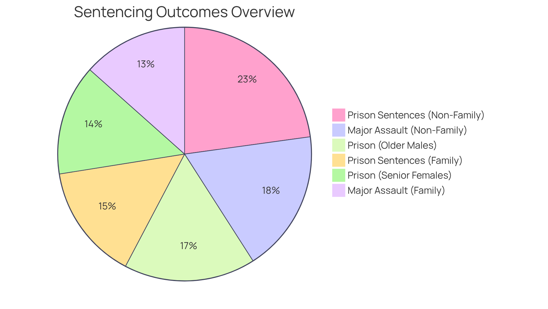 This pie chart shows the different outcomes of sentencing in domestic violence cases. Each slice represents a percentage of cases that resulted in specific convictions or prison sentences, helping you see how family and non-family cases compare. This pie chart shows the different outcomes of sentencing in domestic violence cases. Each slice represents a percentage of cases that resulted in specific convictions or prison sentences, helping you see how family and non-family cases compare.