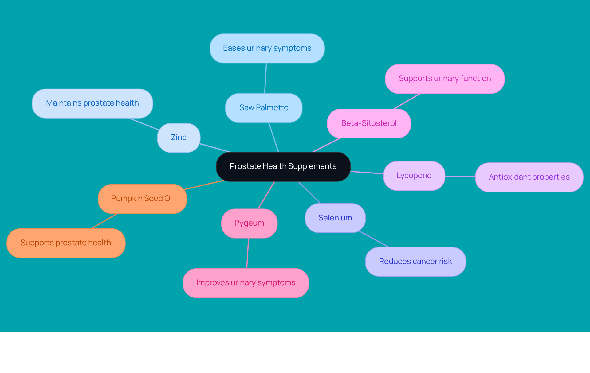 The central node represents prostate health, and each branch shows a different supplement. Follow the branches to learn about the benefits of each supplement and how they contribute to overall wellness.