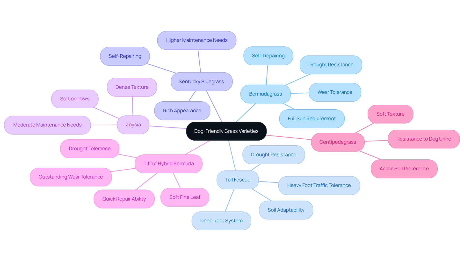 Start at the center with the main topic of dog-friendly grass. Each branch represents a different grass type, and the sub-branches highlight their unique benefits. This helps you quickly understand which grass might be best for your yard and your dog's needs.