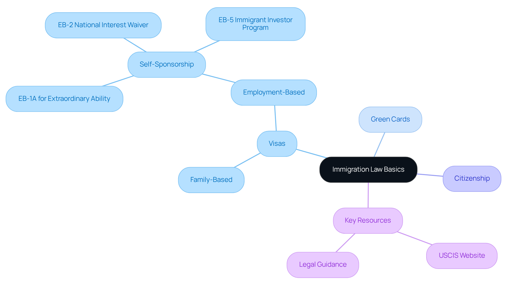 The central node represents the core subject. Each branch indicates a major area of immigration law, with further subdivisions providing additional details. This structure helps you understand how everything connects.