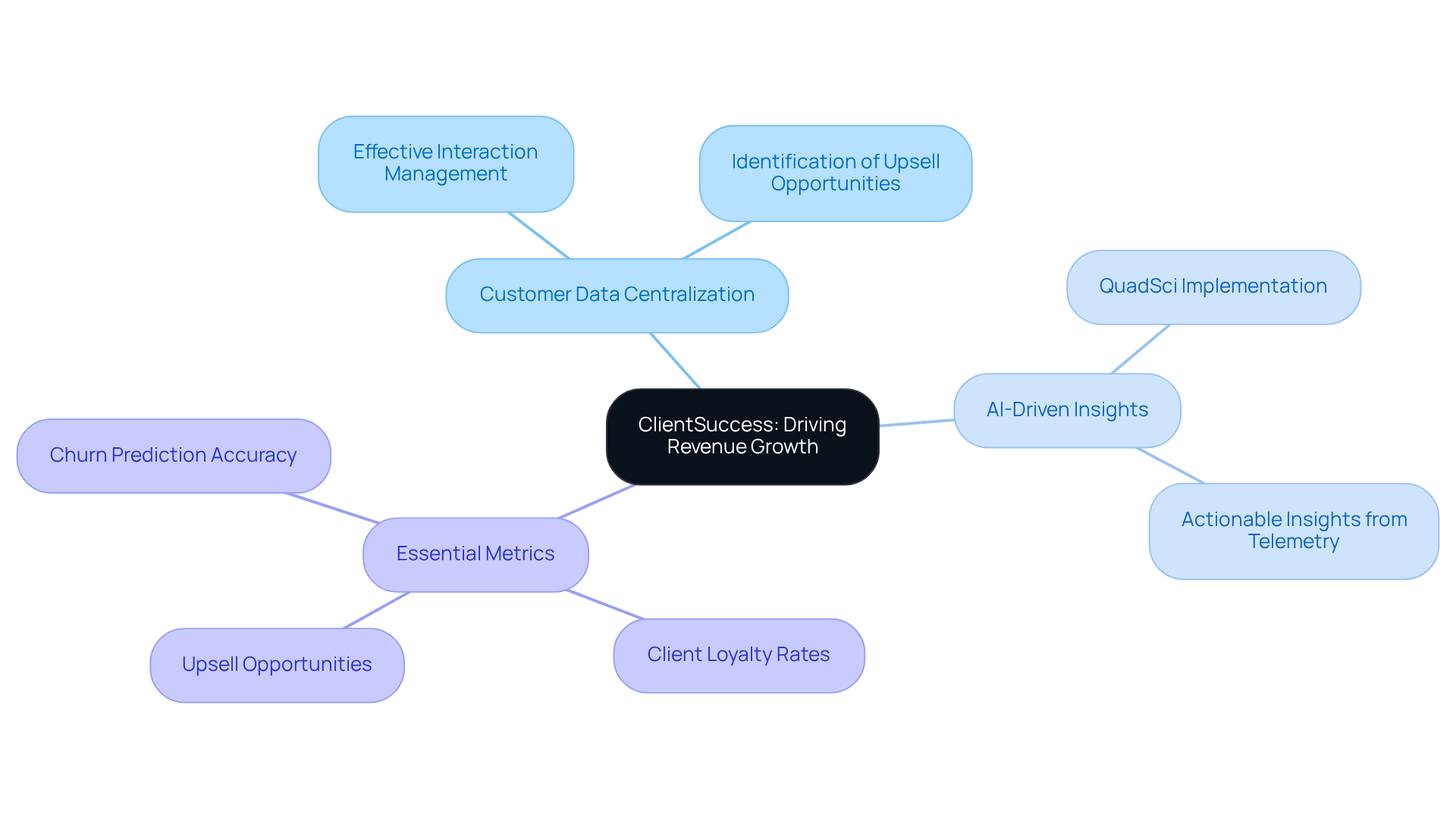 The central node represents the main theme of revenue growth through customer relationships. Each branch shows key areas that contribute to this theme, with metrics that help assess client performance.