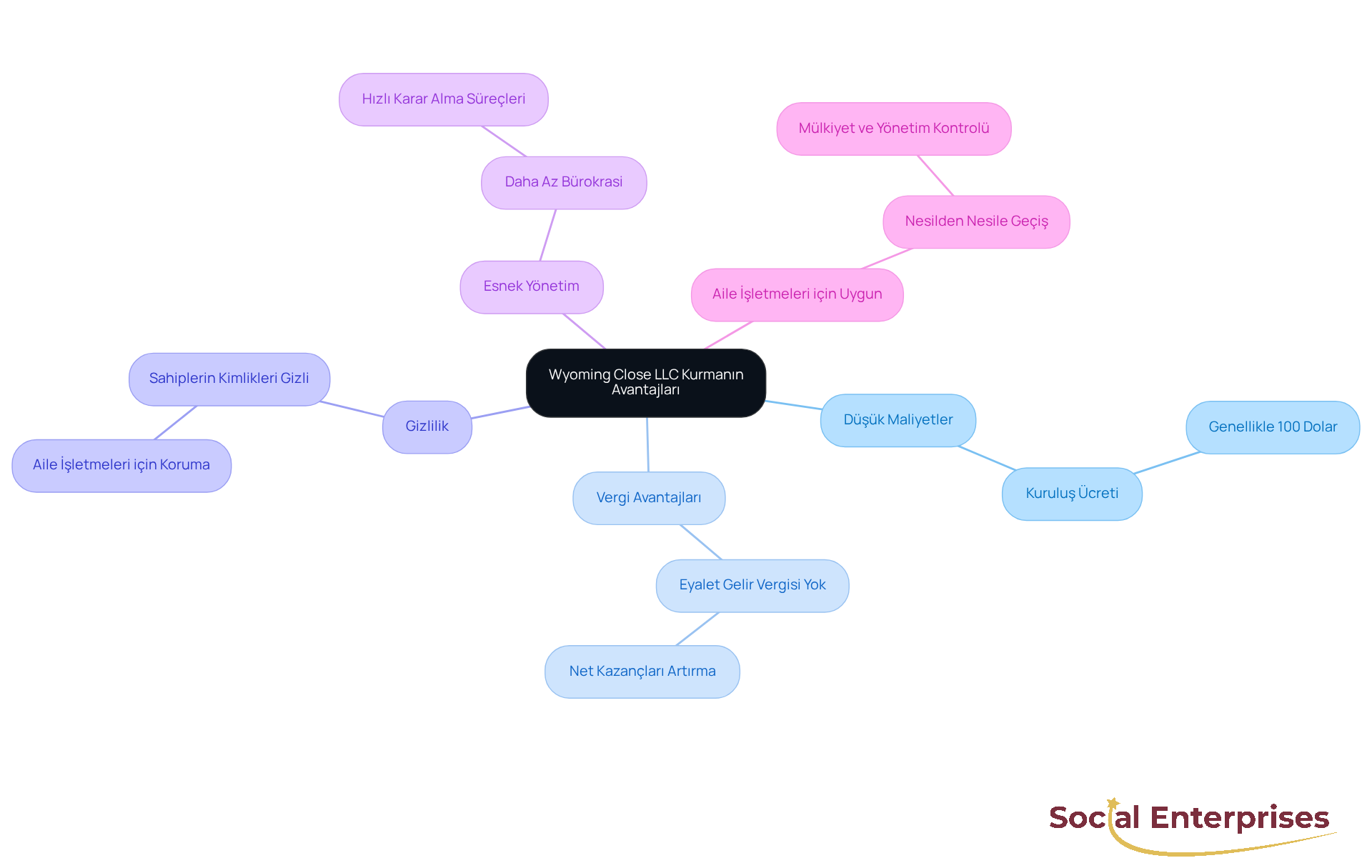 Merkezdeki başlık, Wyoming'de Close LLC kurmanın avantajlarını temsil ediyor. Dallar, her bir avantajı gösteriyor ve altındaki detaylar, o avantajın ne anlama geldiğini açıklıyor. Renkler, her avantajı ayırt etmemize yardımcı oluyor.