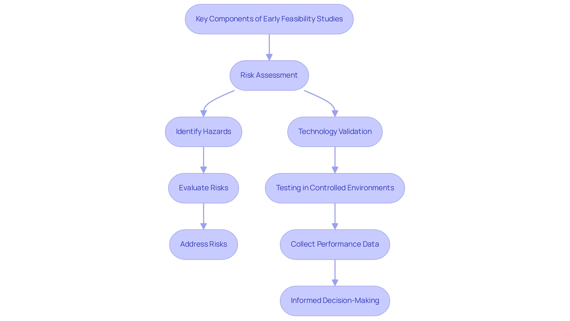 Boxes represent steps in the process: blue for Risk Assessment and green for Technology Validation.