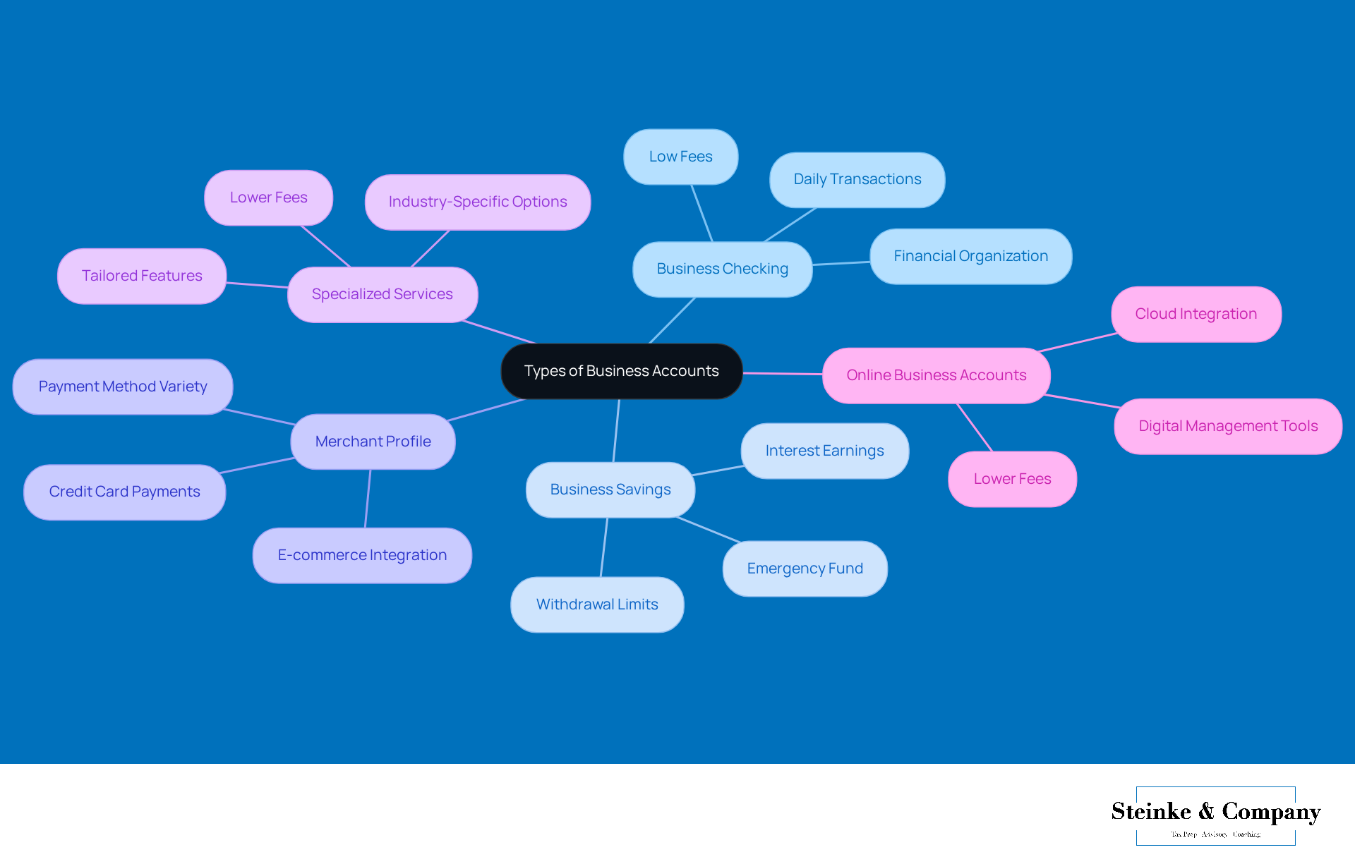The central node represents the main topic of business accounts, while each branch shows a specific type. Follow the sub-branches to learn about the unique features and benefits of each account type. The central node represents the main topic of business accounts, while each branch shows a specific type. Follow the sub-branches to learn about the unique features and benefits of each account type.