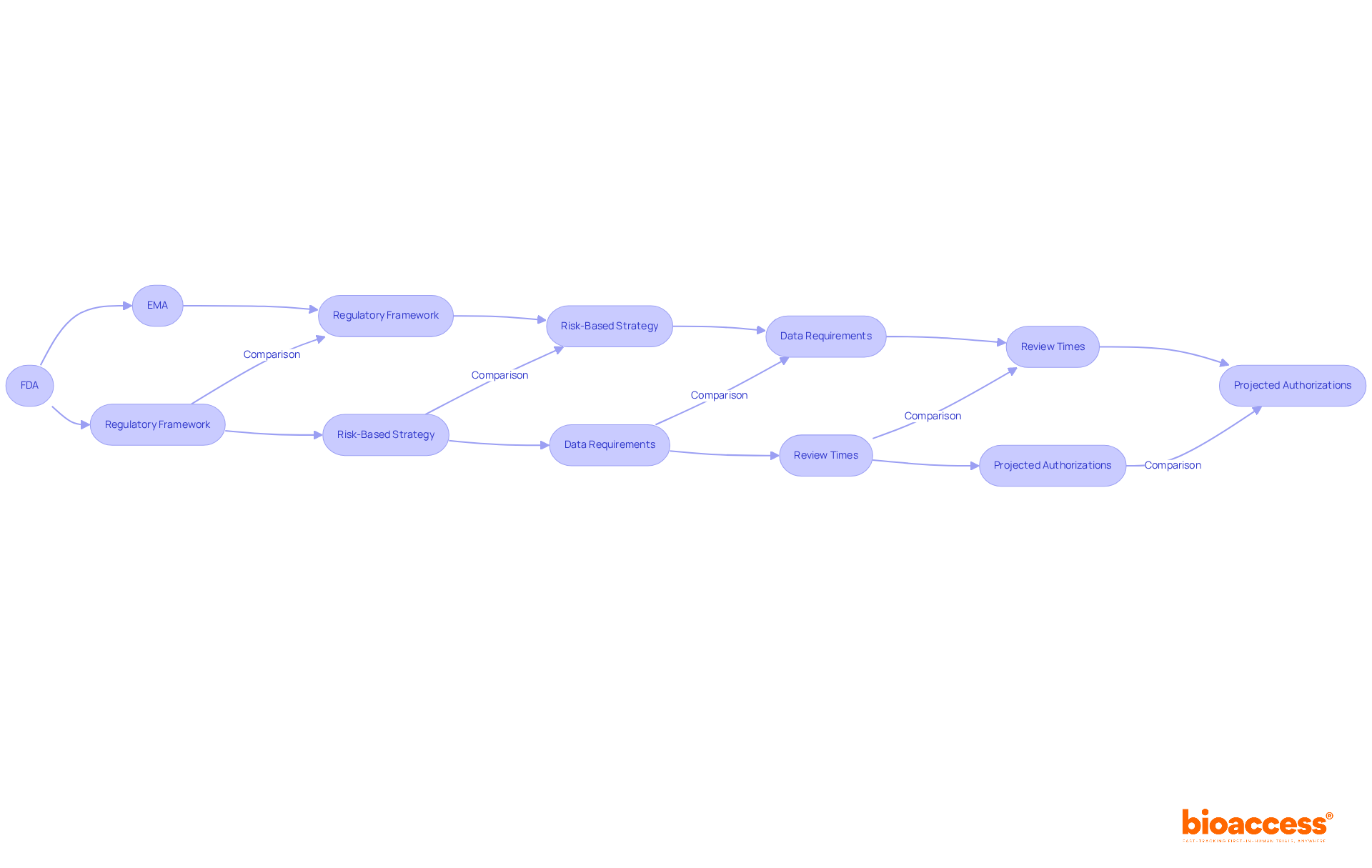 This flowchart shows how the FDA and EMA differ in their approaches to drug regulation. Each column highlights important aspects, making it easy to see where they align and where they diverge.