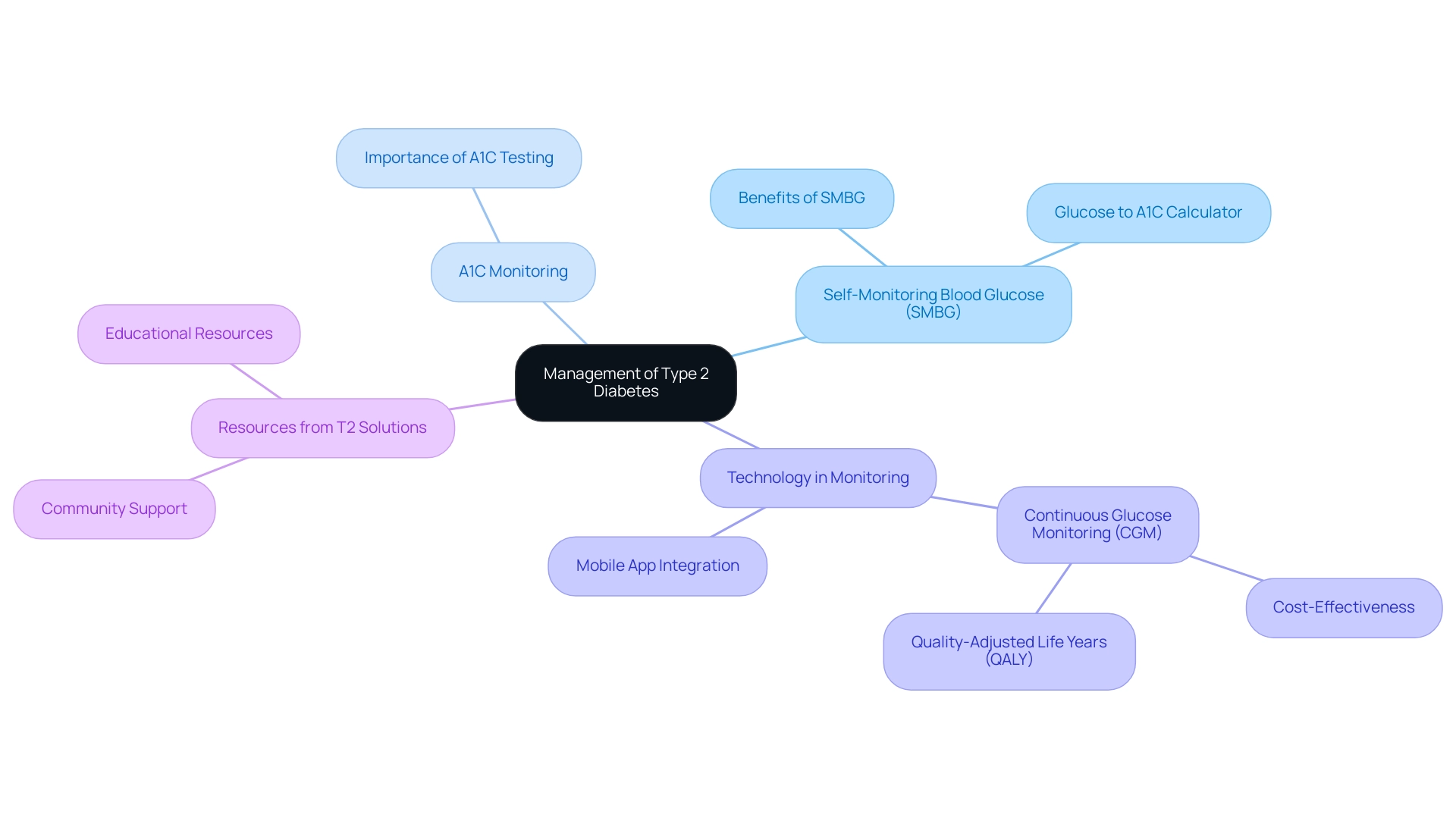 The central node represents diabetes management, with branches illustrating key themes and their subcategories.