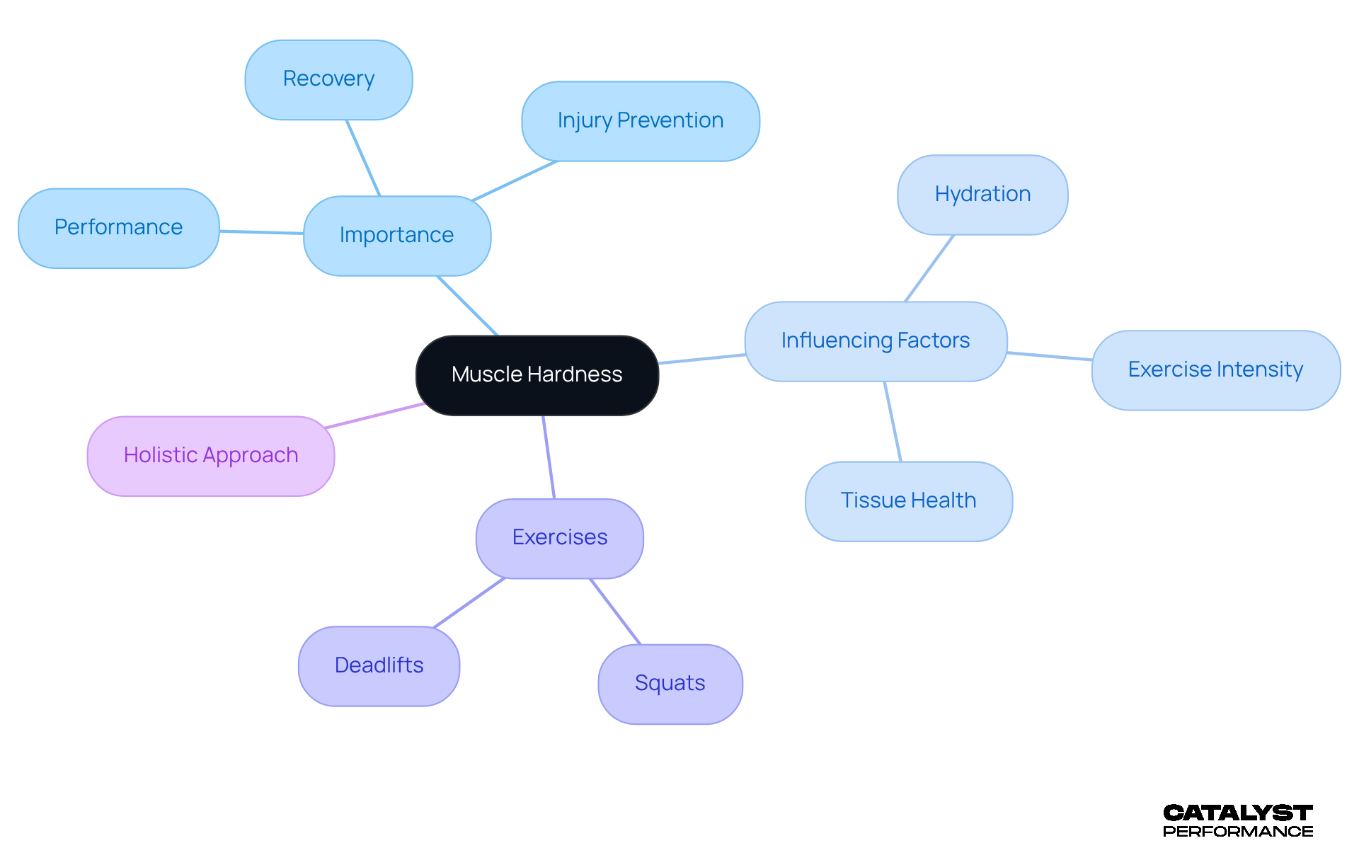 Start at the center with muscle hardness, then explore its importance, factors that influence it, exercises to enhance it, and a holistic approach to fitness. Each branch shows how these elements connect to the main idea.