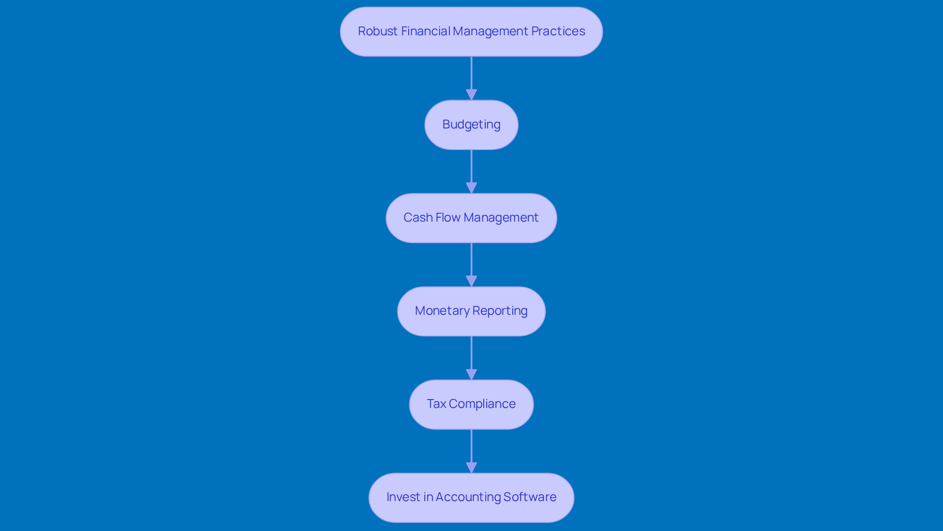 Each box represents a crucial strategy for managing finances effectively. Follow the arrows to see how each strategy builds on the previous one, guiding you toward better financial health for your agency.