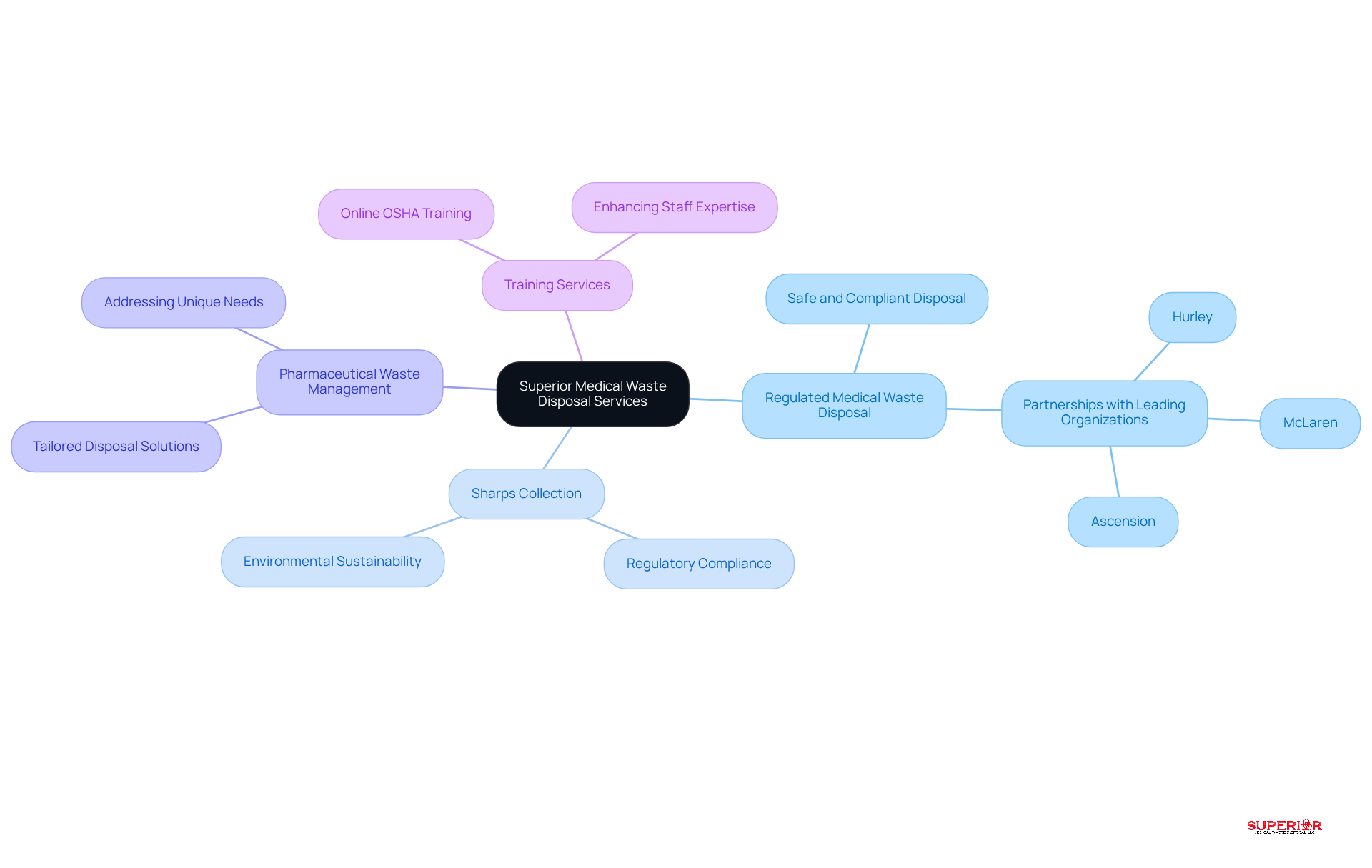 The central node represents the main service provider, while the branches show the different types of services offered. Each color-coded branch helps you quickly identify the service category and its specific focus.