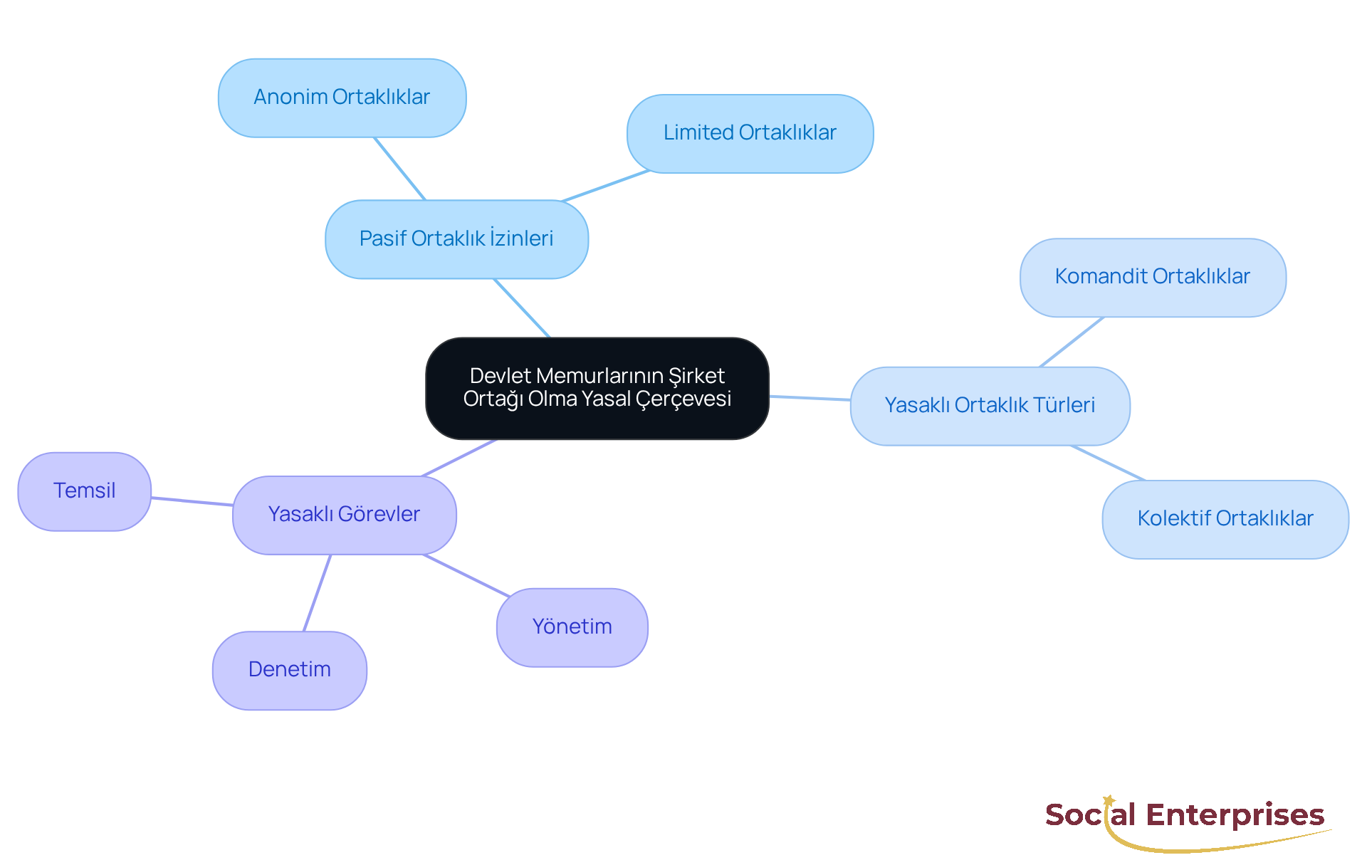 Merkezdeki konu devlet memurlarının şirket ortaklığıyla ilgili yasal çerçeveyi temsil ediyor. Dallar, hangi ortaklık türlerinin izinli olduğunu ve hangilerinin yasaklandığını gösteriyor.