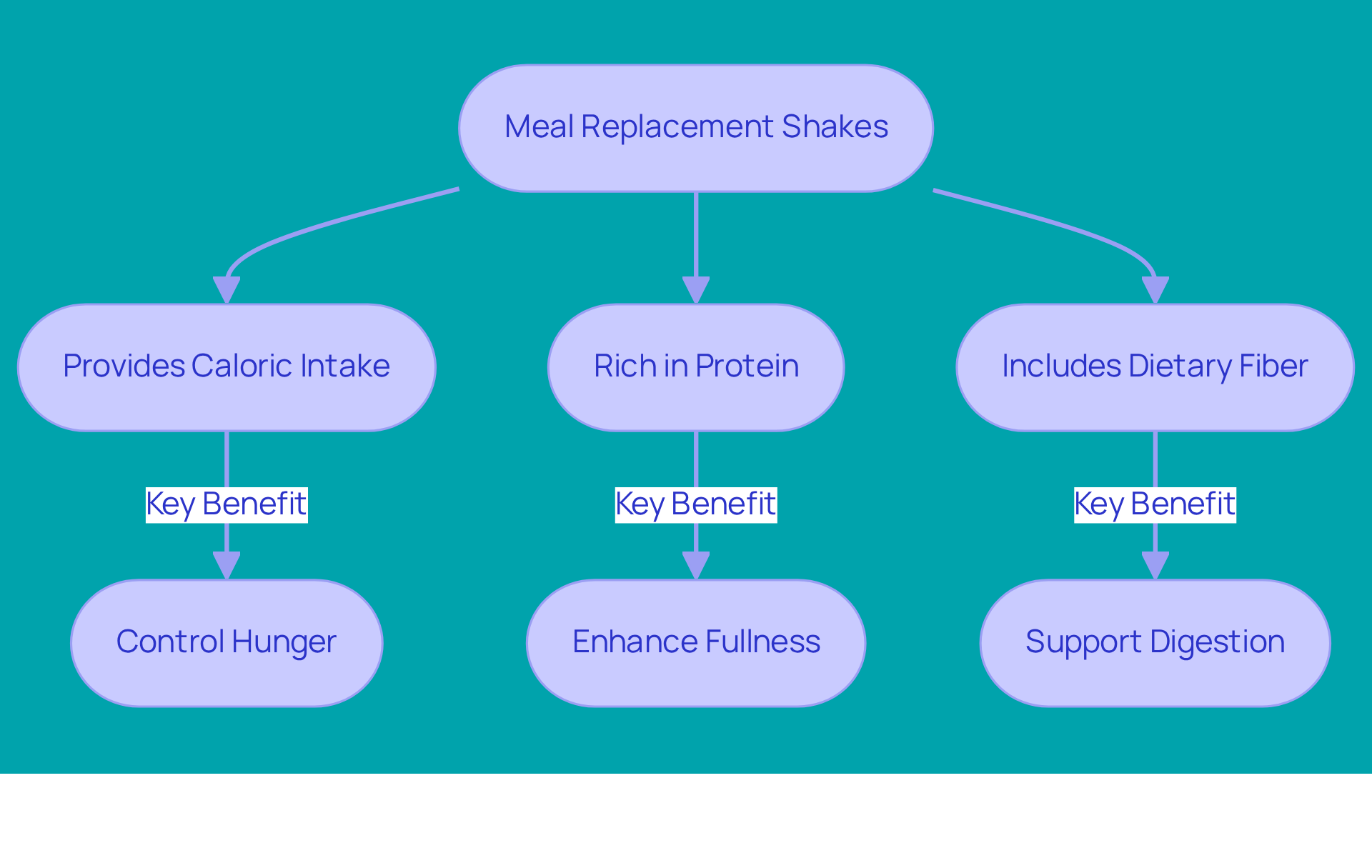 Follow the arrows to see how meal replacement shakes provide benefits: starting from the shakes themselves, through their components, and leading to positive health outcomes.