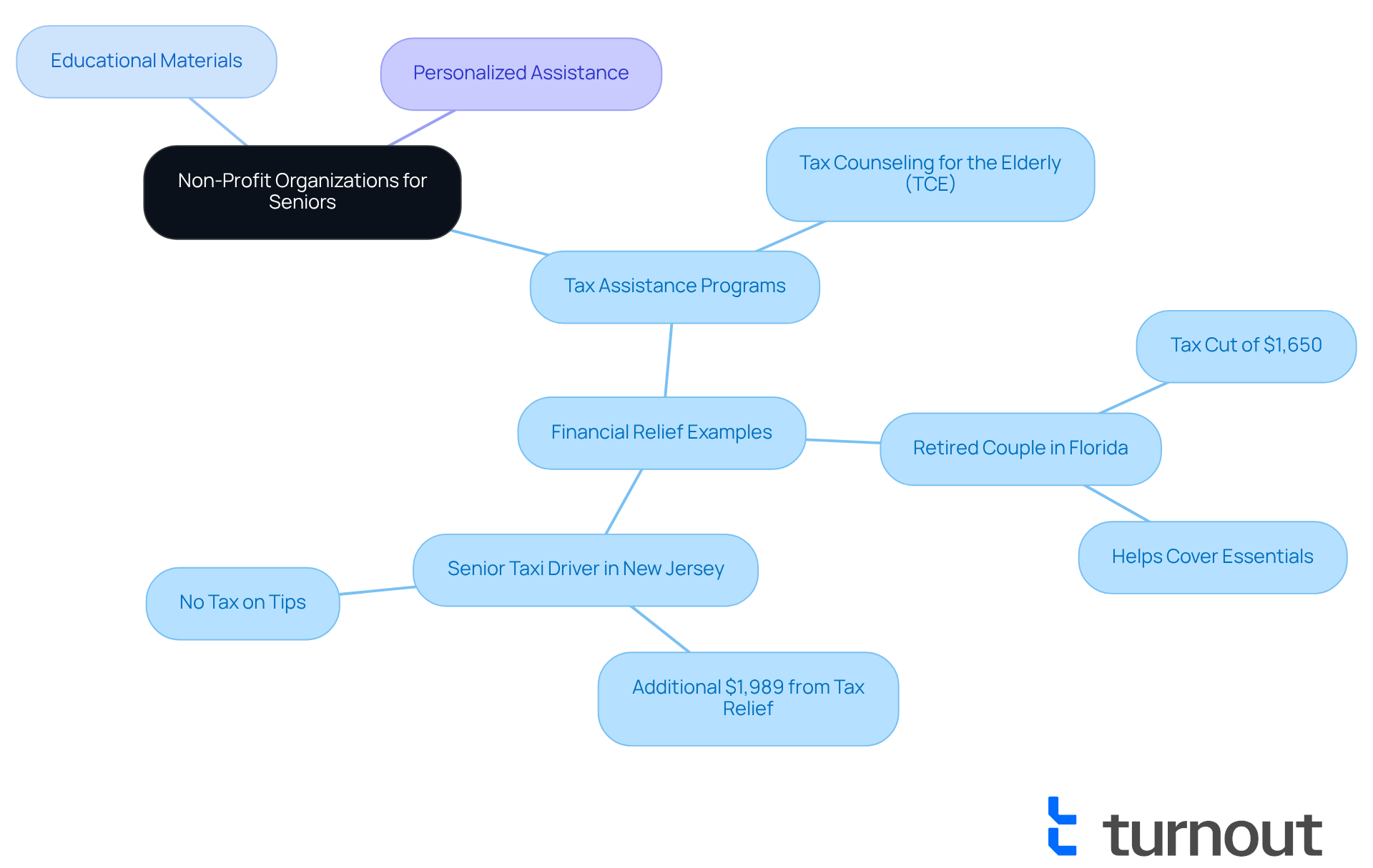 The central node represents the focus on non-profits aiding seniors with taxes, while the branches show different types of support and real-life examples of how these services help improve financial stability. The central node represents the focus on non-profits aiding seniors with taxes, while the branches show different types of support and real-life examples of how these services help improve financial stability.