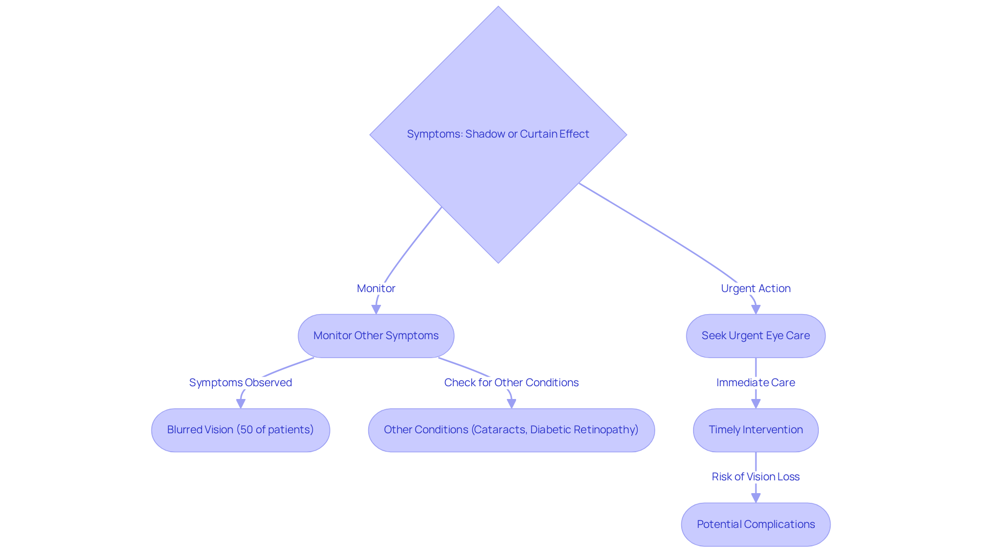 This flowchart guides you through the steps to take when experiencing symptoms. It starts with the warning signs and shows the necessary actions, helping you understand the seriousness of retinal detachment.