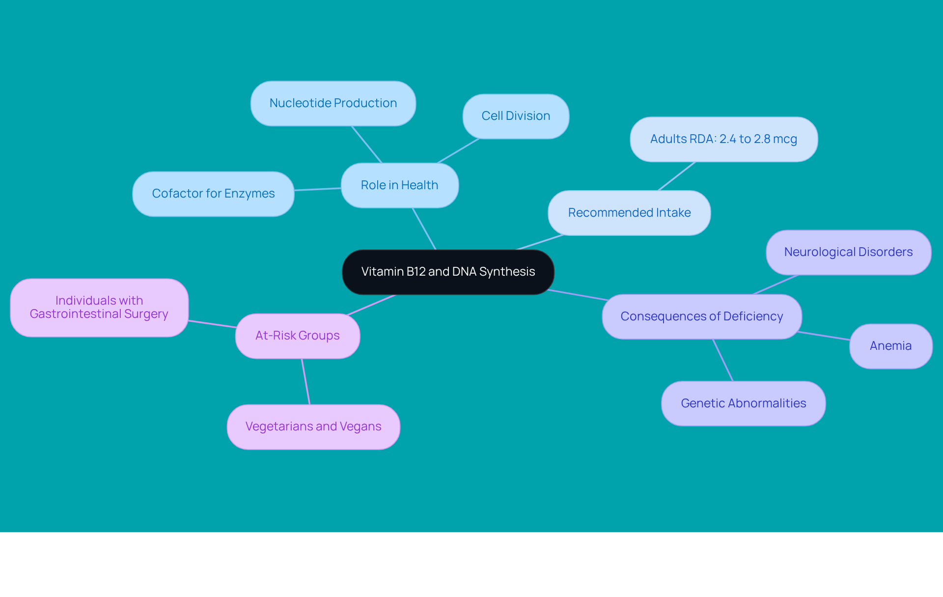 The central node represents Vitamin B12, with branches showing its health roles, recommended intake, and risks of deficiency. Each color-coded branch helps you see how these concepts connect.