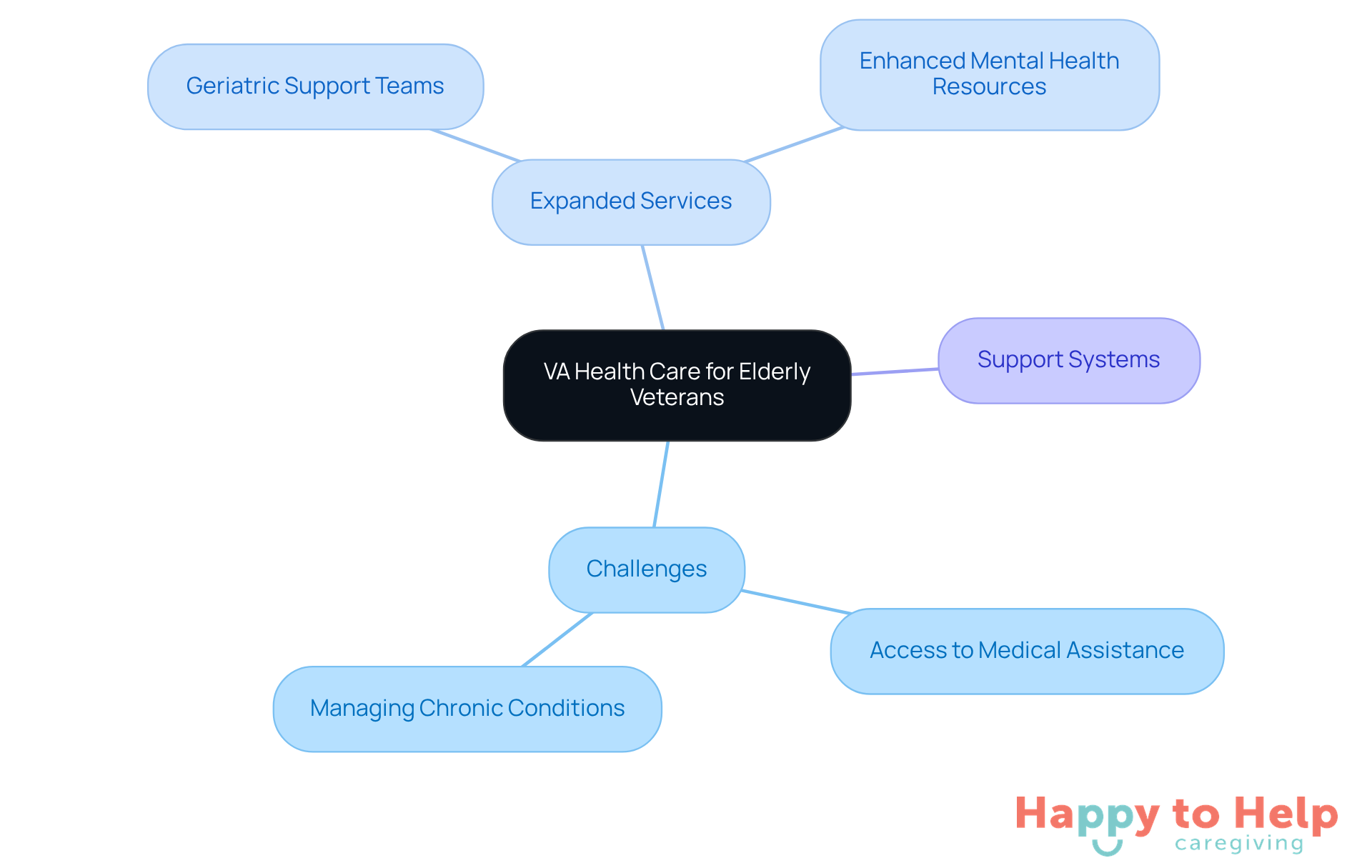 The center represents the main focus on VA Health Care for elderly veterans, with branches showing the challenges they face and the expanded services available to support their health and well-being.