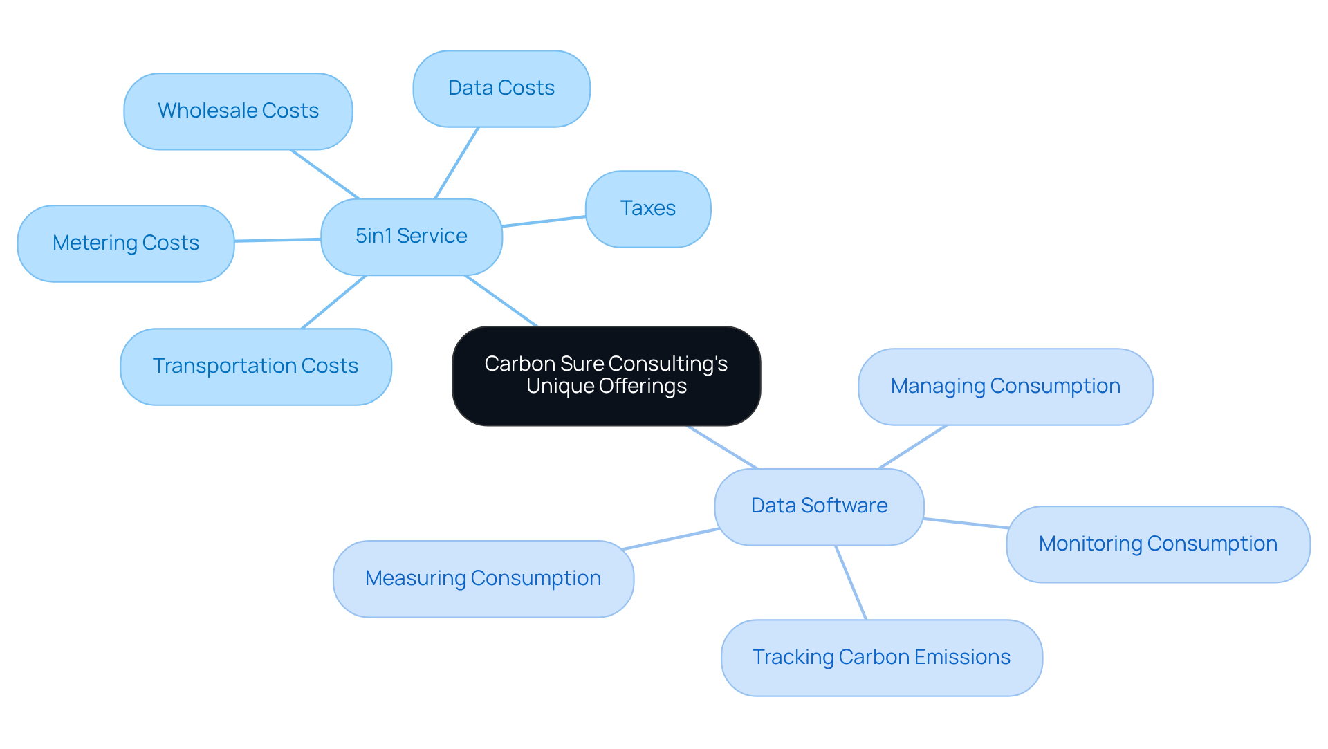 The central node represents Carbon Sure Consulting, with branches showing their unique 5in1 service and data software capabilities. Each sub-branch details specific components or features, helping you understand how they contribute to energy efficiency and sustainability.