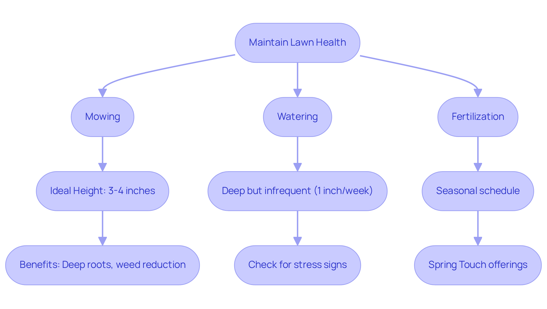 Follow the arrows to see how each action contributes to a healthy lawn. Each step is important - from mowing at the right height to watering correctly and fertilizing seasonally.