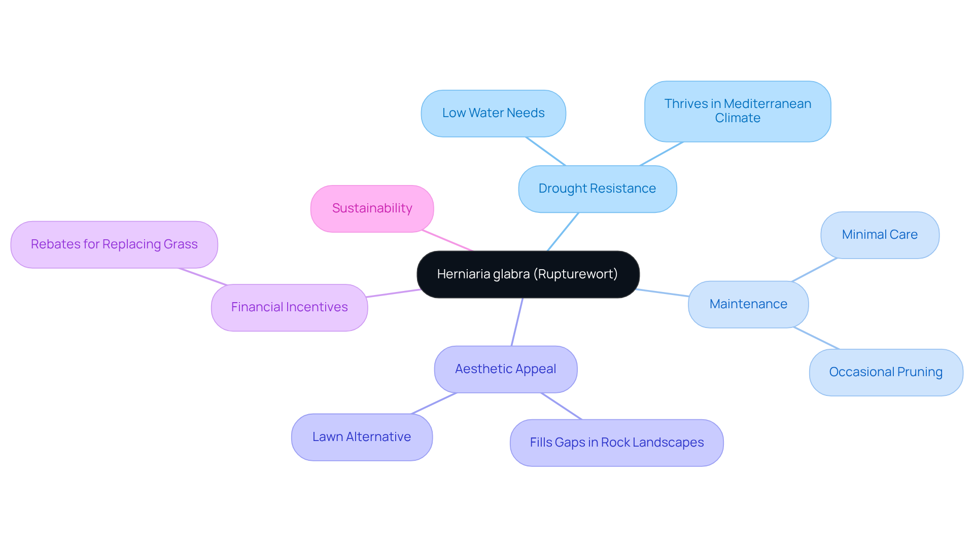 This mindmap illustrates the key aspects of Herniaria glabra as a drought-tolerant ground cover. Each branch represents a different benefit or characteristic, helping you see how they connect to the overall theme of sustainable landscaping.