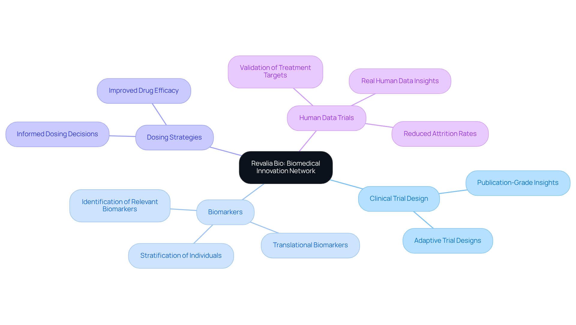 The central node represents Revalia Bio's network, while the branches show how different elements like biomarkers and human data trials contribute to improving clinical trials. Each color-coded branch helps you see the connections and importance of each aspect.