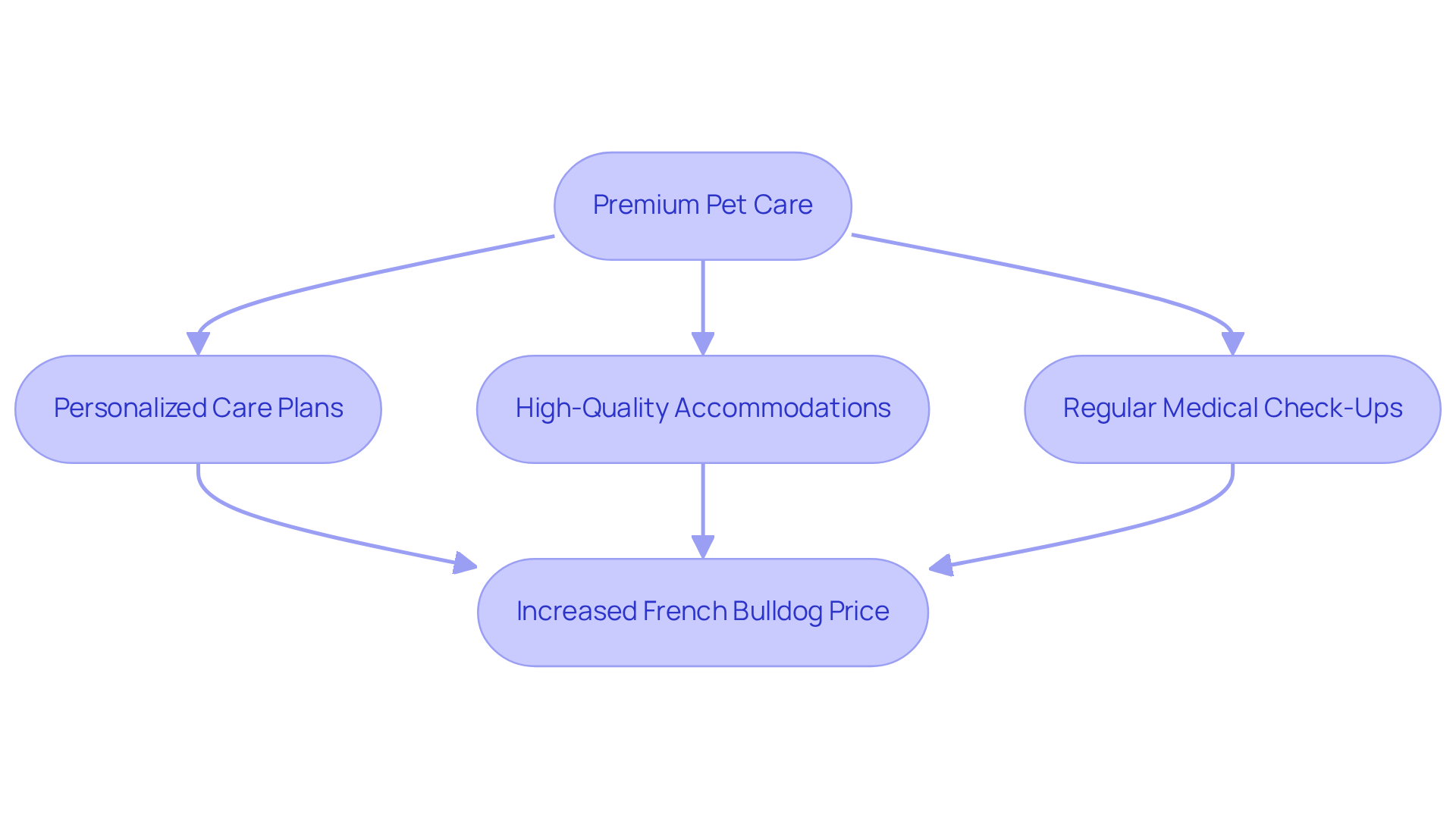 Follow the arrows to see how premium care influences the price of French Bulldogs. Each box represents a step in the process, showing the connection between quality care and market value. Follow the arrows to see how premium care influences the price of French Bulldogs. Each box represents a step in the process, showing the connection between quality care and market value.