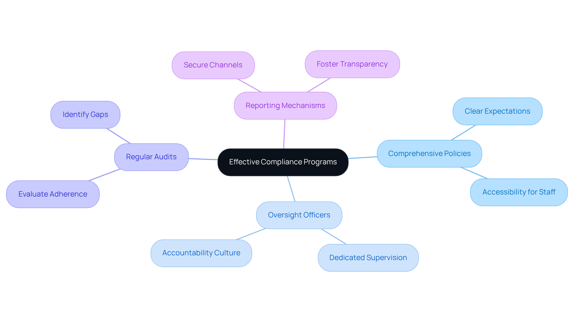 The center represents the main goal of establishing compliance programs, while the branches show the key strategies that support this goal. Each strategy is essential for creating a robust compliance framework.
