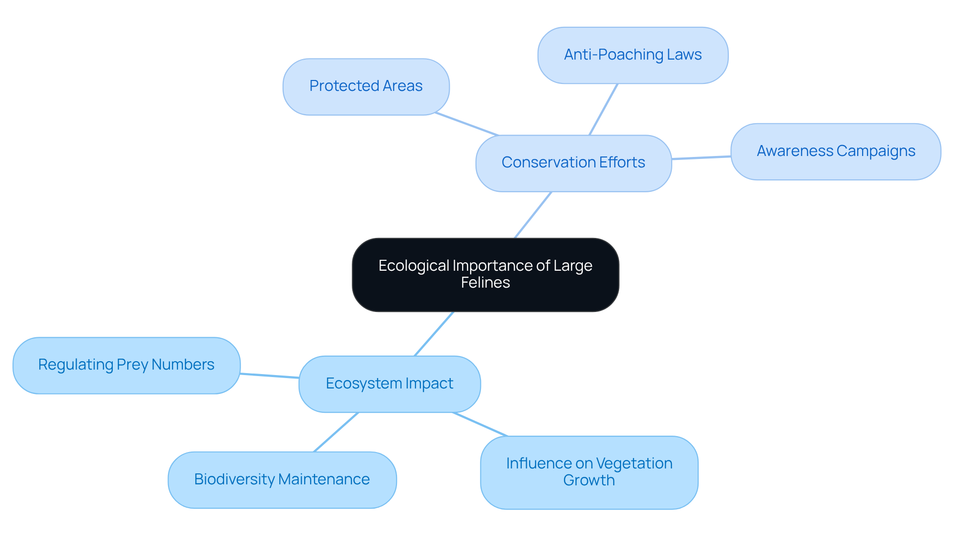 Begin at the center with the significance of large cats. Follow the branches to explore how they impact ecosystems and what actions are being taken to conserve them. Each branch represents a key aspect of their ecological role or conservation strategy.