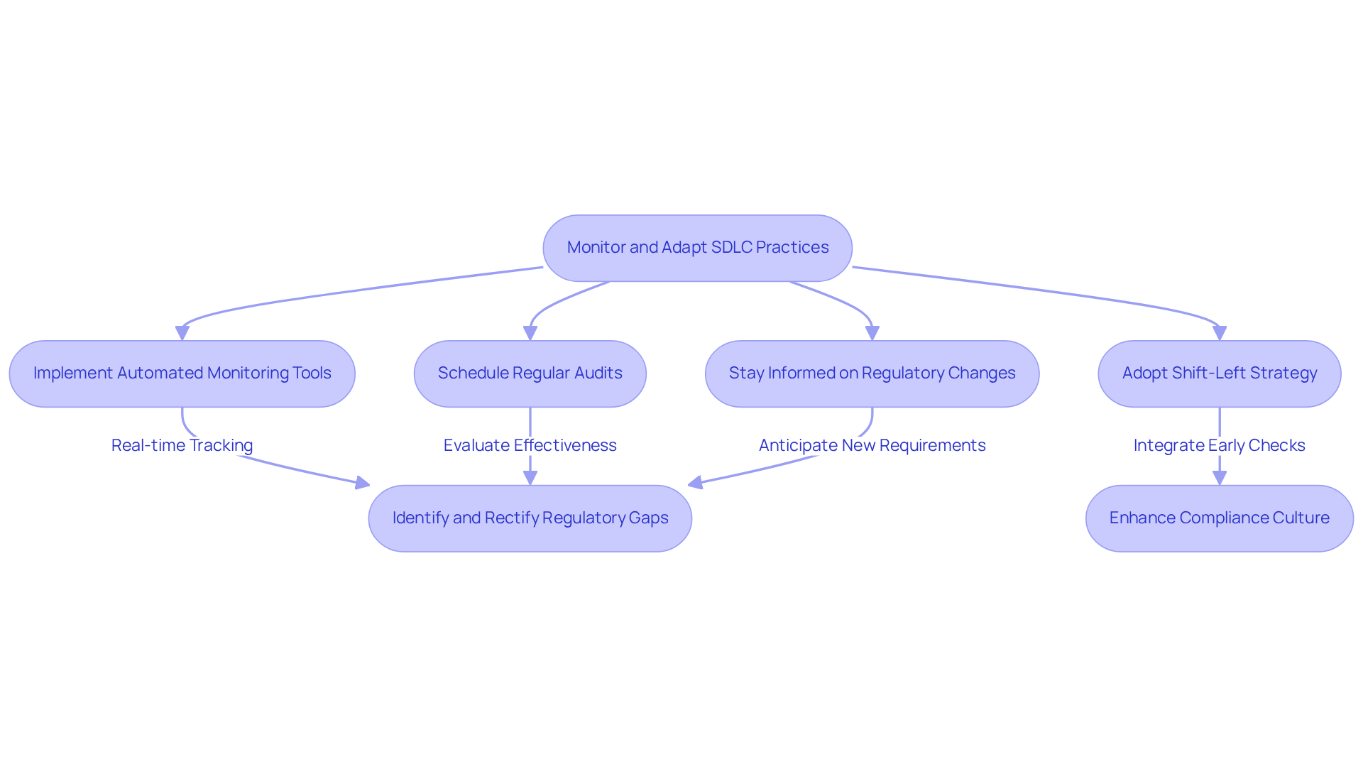 Follow the arrows to see the steps organizations should take to ensure compliance. Each box represents an action that contributes to monitoring and adapting SDLC practices effectively.