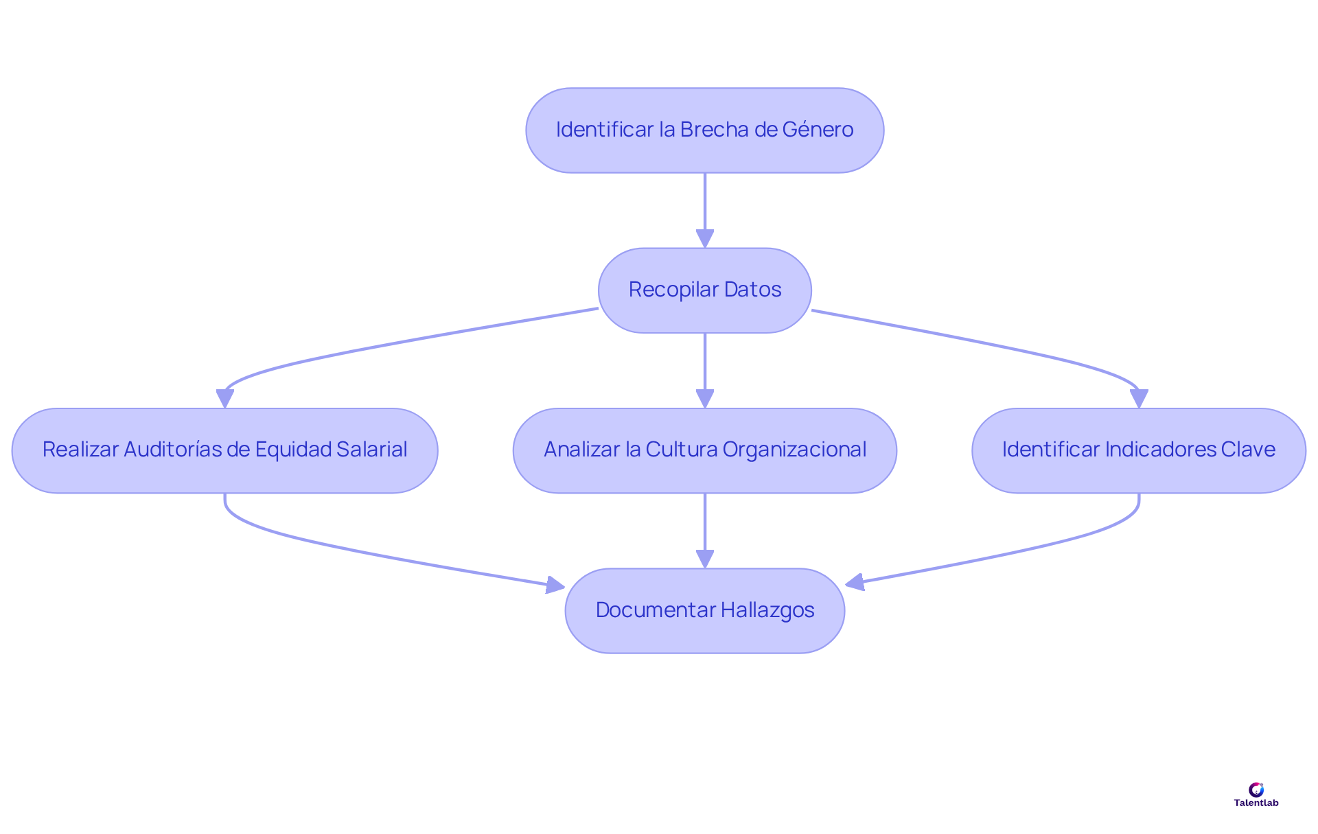 Cada cuadro representa un paso en el proceso de identificación de la brecha de género. Sigue las flechas para ver cómo cada etapa se conecta con la siguiente, desde la recopilación de datos hasta la documentación de hallazgos.