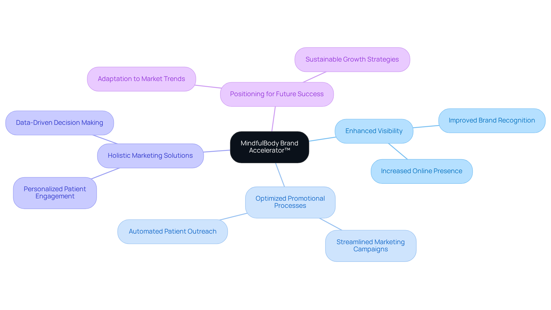 The central node represents the Brand Accelerator. Each branch highlights a key benefit, showing how they connect to the overall goal of enhancing wellness companies' success.
