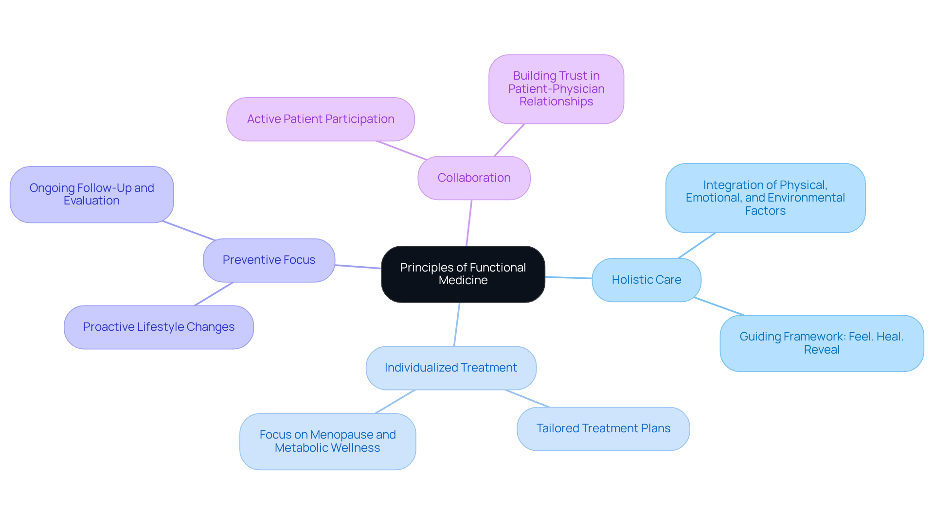 The central node represents the core concept of functional medicine, while the branches illustrate the key principles that guide this approach. Each principle is broken down into specific aspects, helping you understand how they contribute to a more personalized and holistic healthcare experience. The central node represents the core concept of functional medicine, while the branches illustrate the key principles that guide this approach. Each principle is broken down into specific aspects, helping you understand how they contribute to a more personalized and holistic healthcare experience.