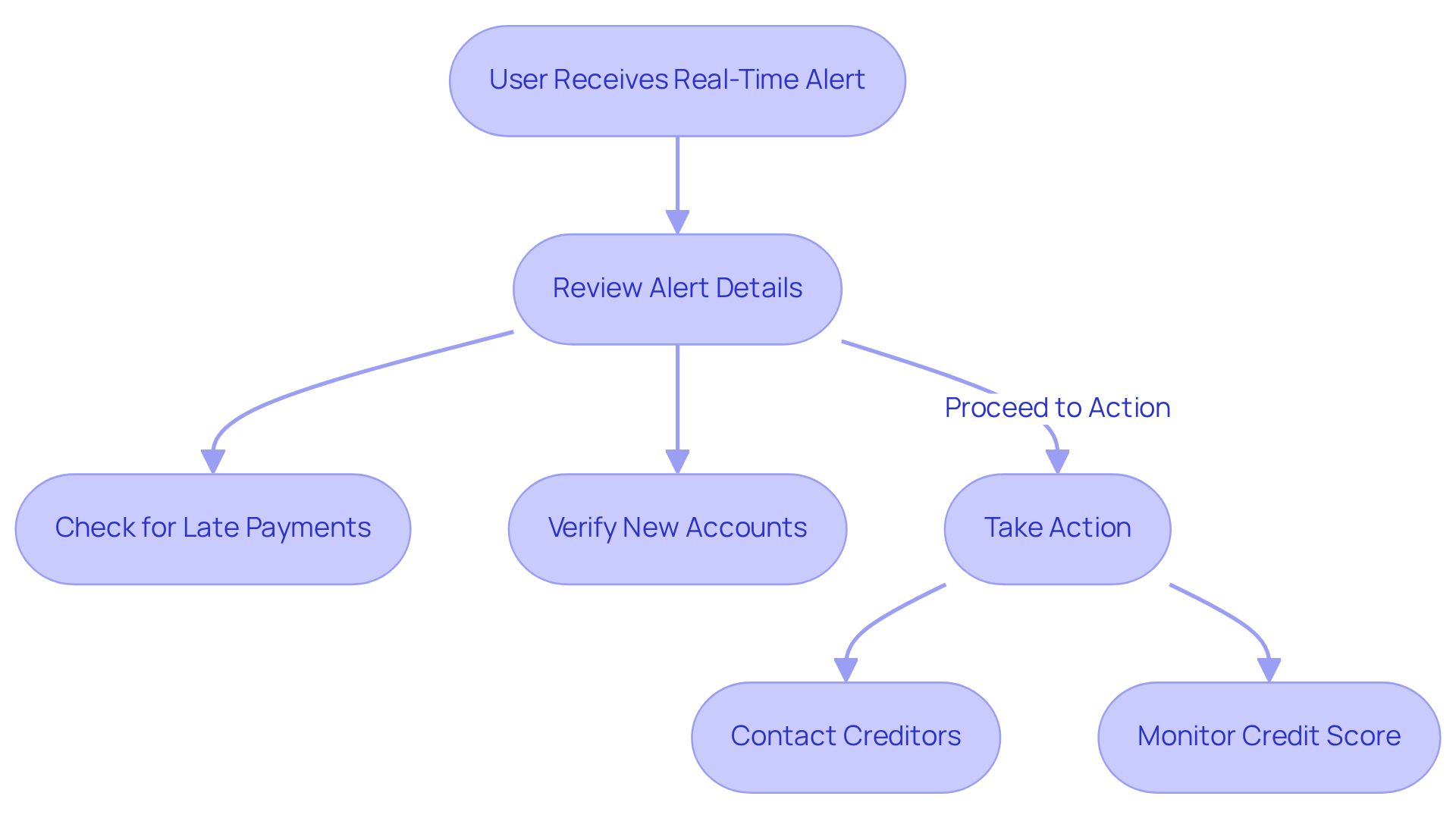 This flowchart shows how users interact with real-time alerts. Start with receiving an alert, then follow the steps to review and take action to maintain their credit health.