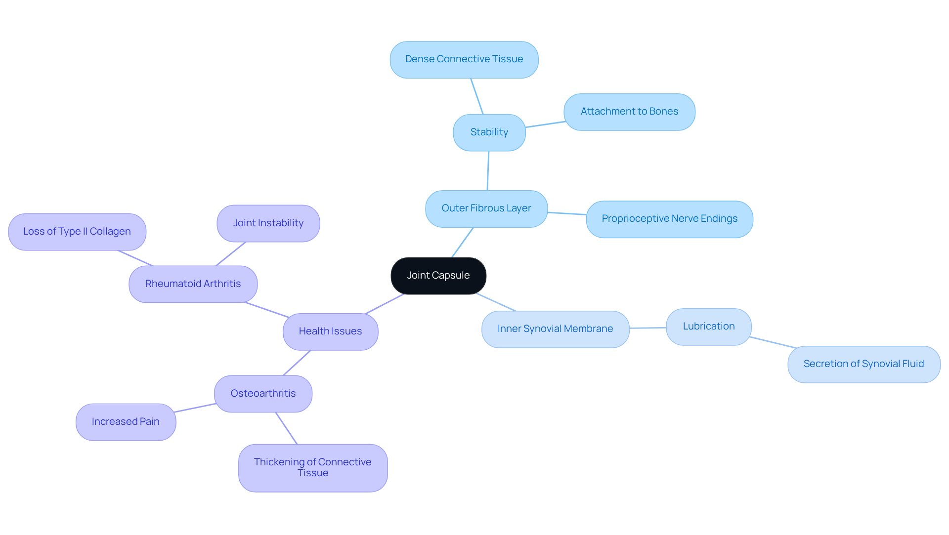 The central node represents the joint capsule, with branches showing its key characteristics and health implications. Each color-coded branch helps you see how the structure supports joint health and what happens when it’s compromised.