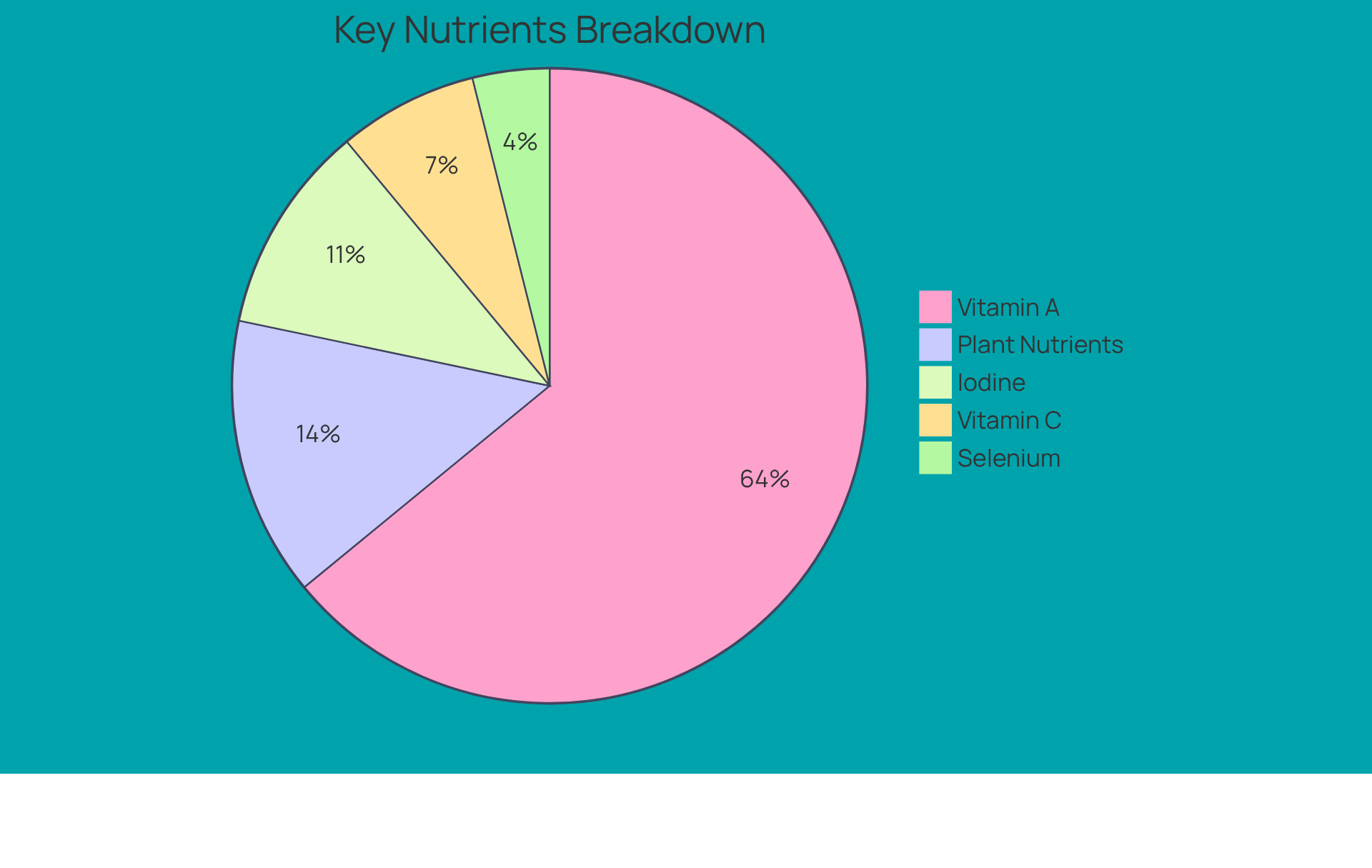 Each slice of the pie shows how much of each nutrient is included in the multivitamin. The bigger the slice, the more of that nutrient is present, helping you see what supports your wellness.