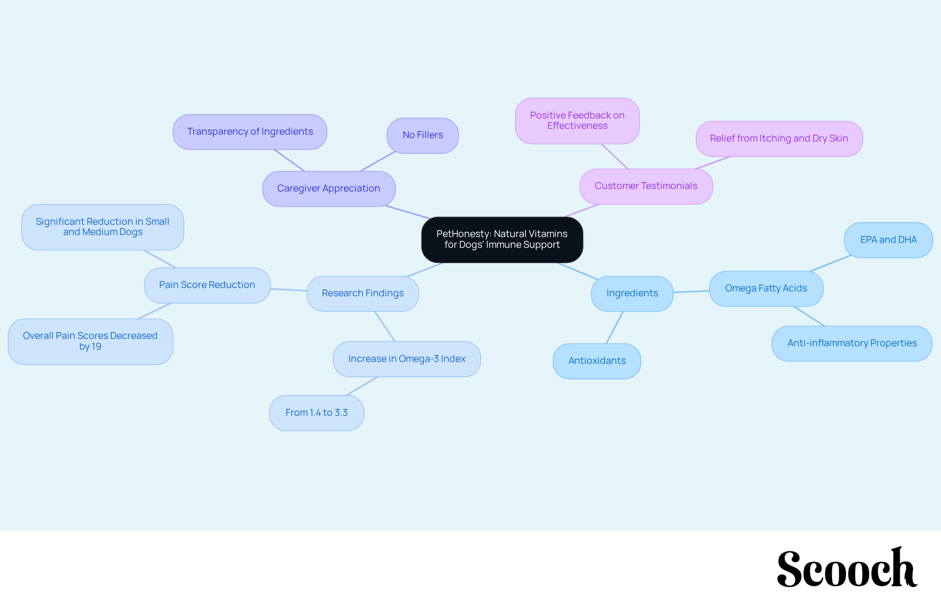 The central node represents the main topic, while the branches show different aspects of how PetHonesty's vitamins support dog health. Each branch connects to specific details, making it easy to understand the overall benefits.