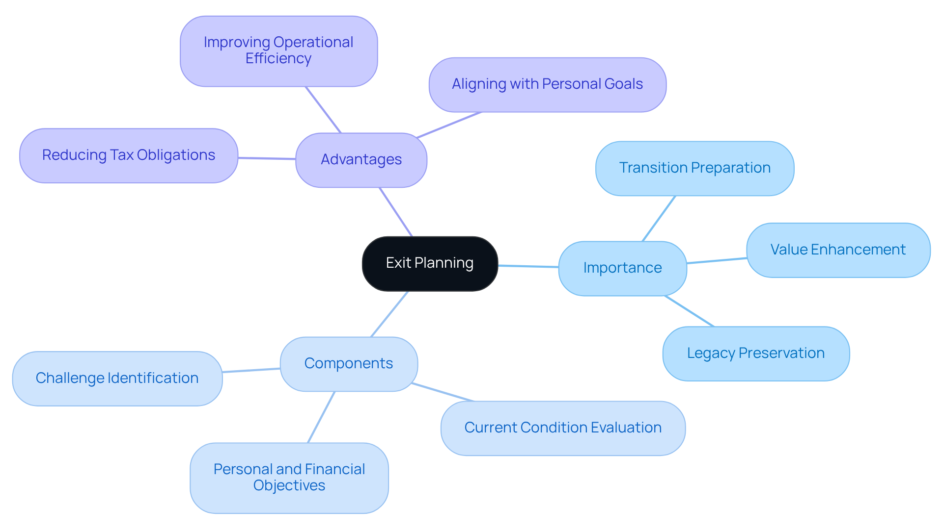 The central node represents exit planning, with branches showing its importance, components, and advantages. Each branch helps you see how different aspects relate to the overall strategy.