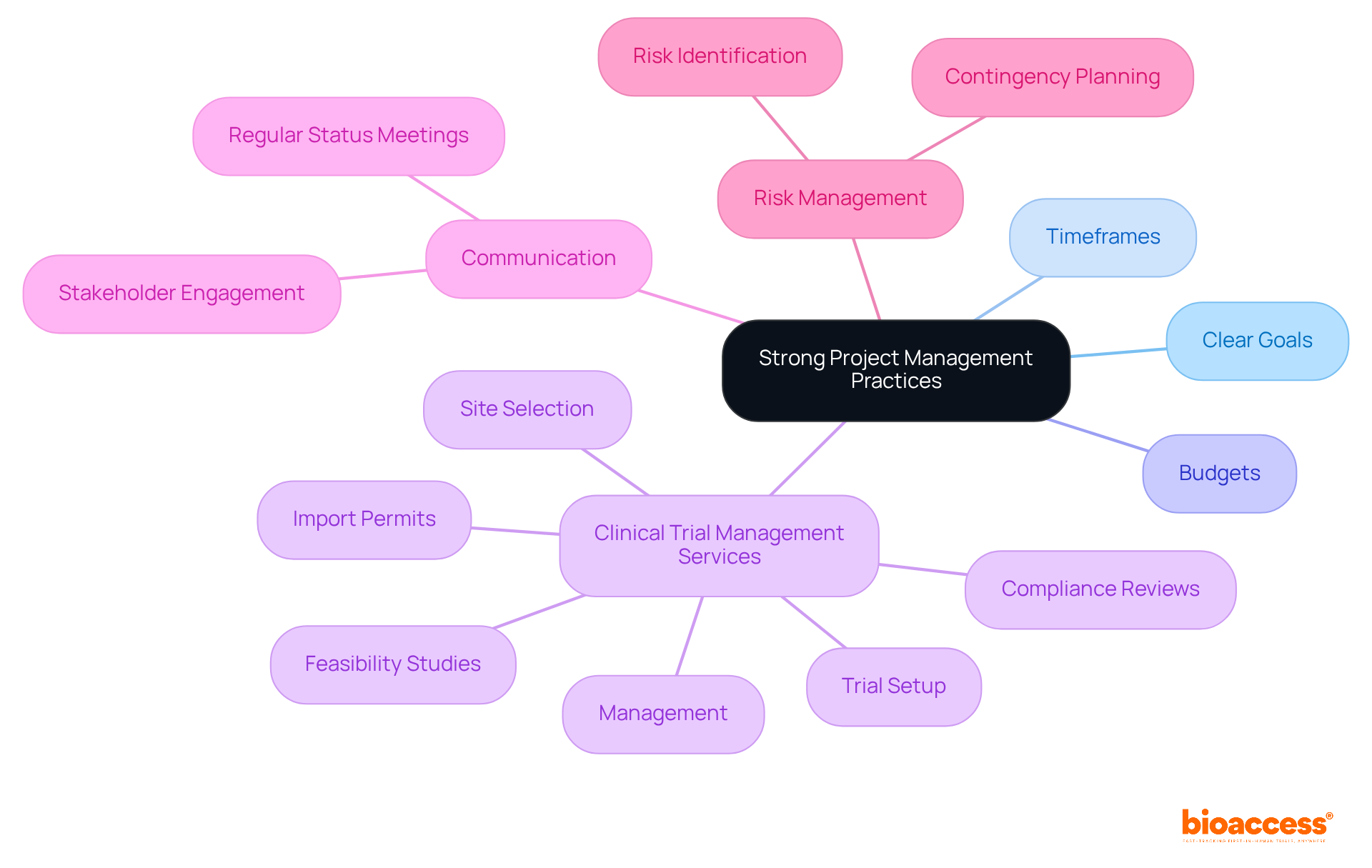 The center represents the core idea of strong project management. Each branch shows a key area of focus, and the sub-branches detail specific services or strategies that support effective project execution. The center represents the core idea of strong project management. Each branch shows a key area of focus, and the sub-branches detail specific services or strategies that support effective project execution.