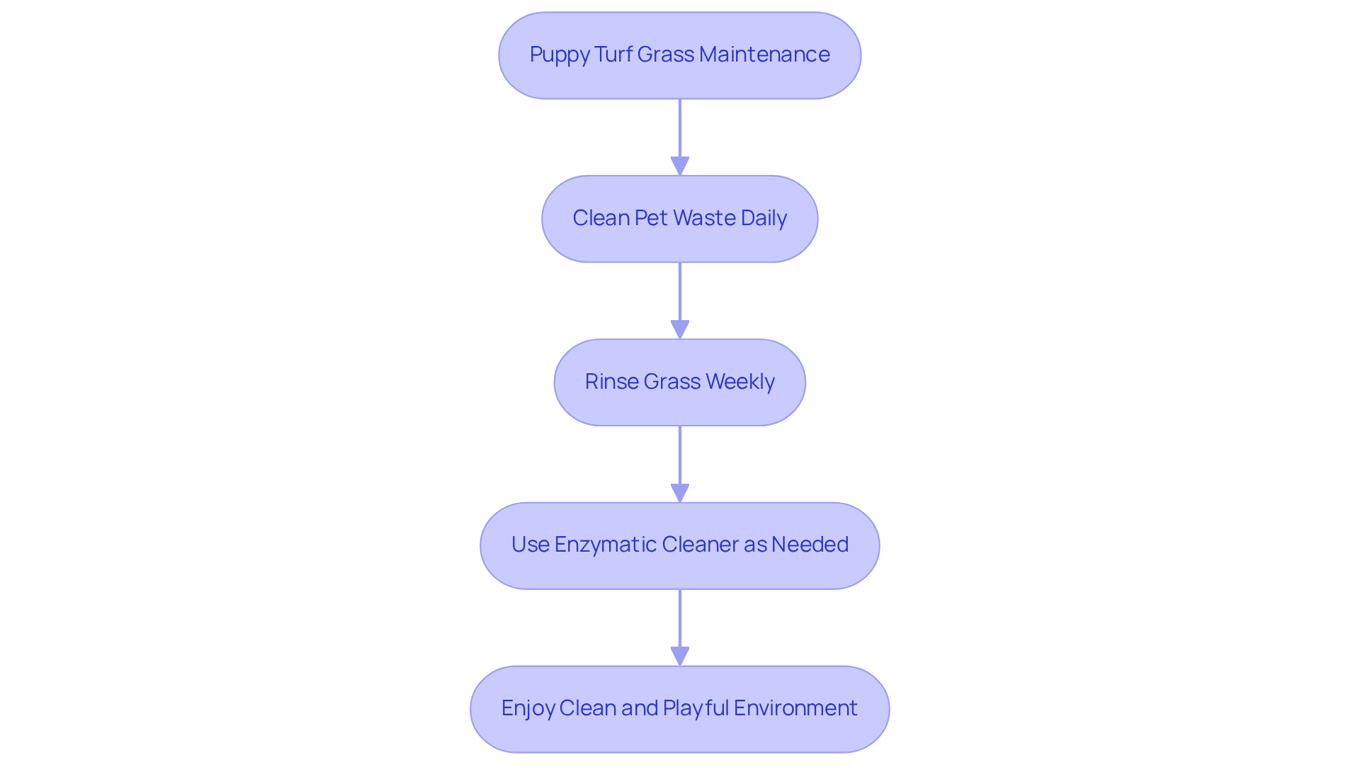 Follow the arrows to see how to keep your puppy turf grass clean and fresh. Each step shows what you need to do to maintain a hygienic space for your pets.