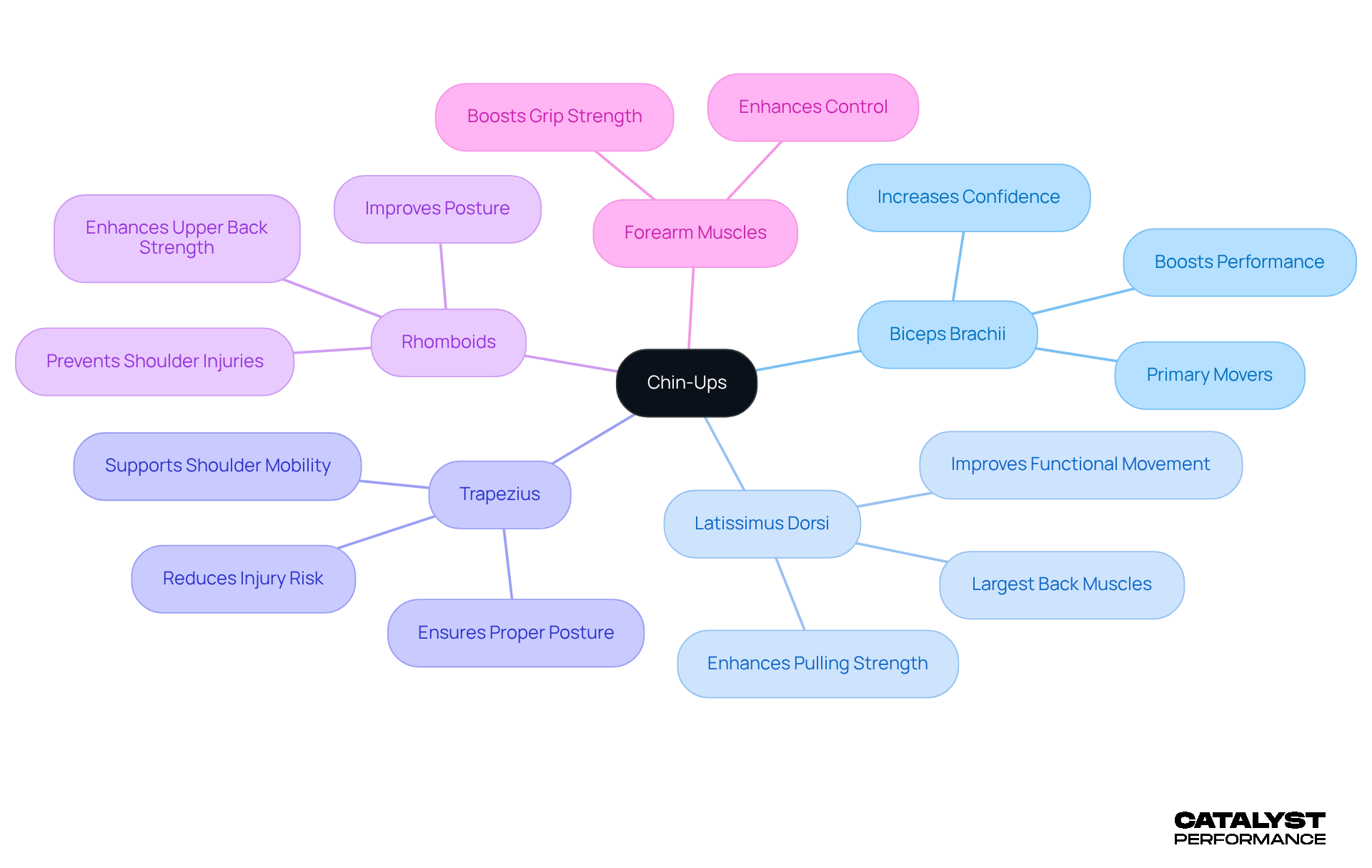 The central node represents chin-ups, while the branches show the key muscles involved and their benefits. Each color-coded branch helps you see how chin-ups contribute to strength and fitness.