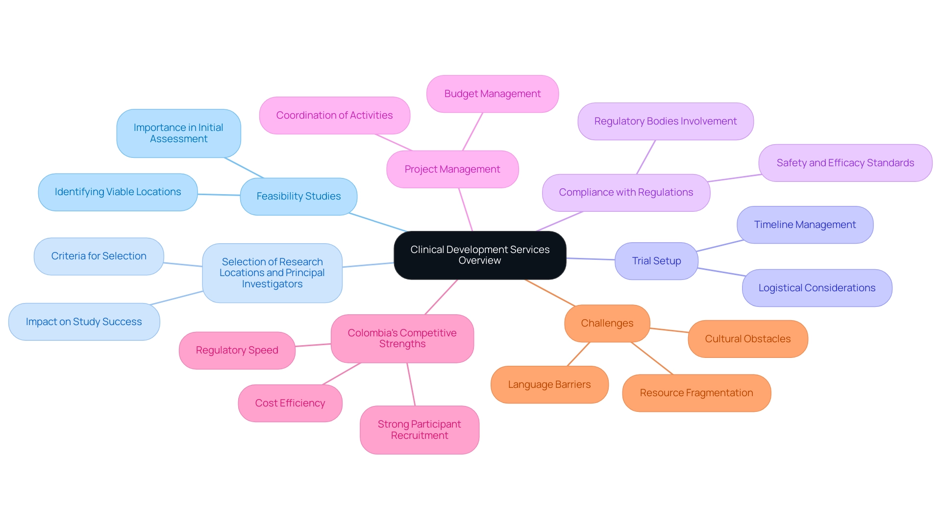 Nodes represent different services, strengths, and challenges, with colors indicating main categories. Arrows show relationships between services and contextual factors.