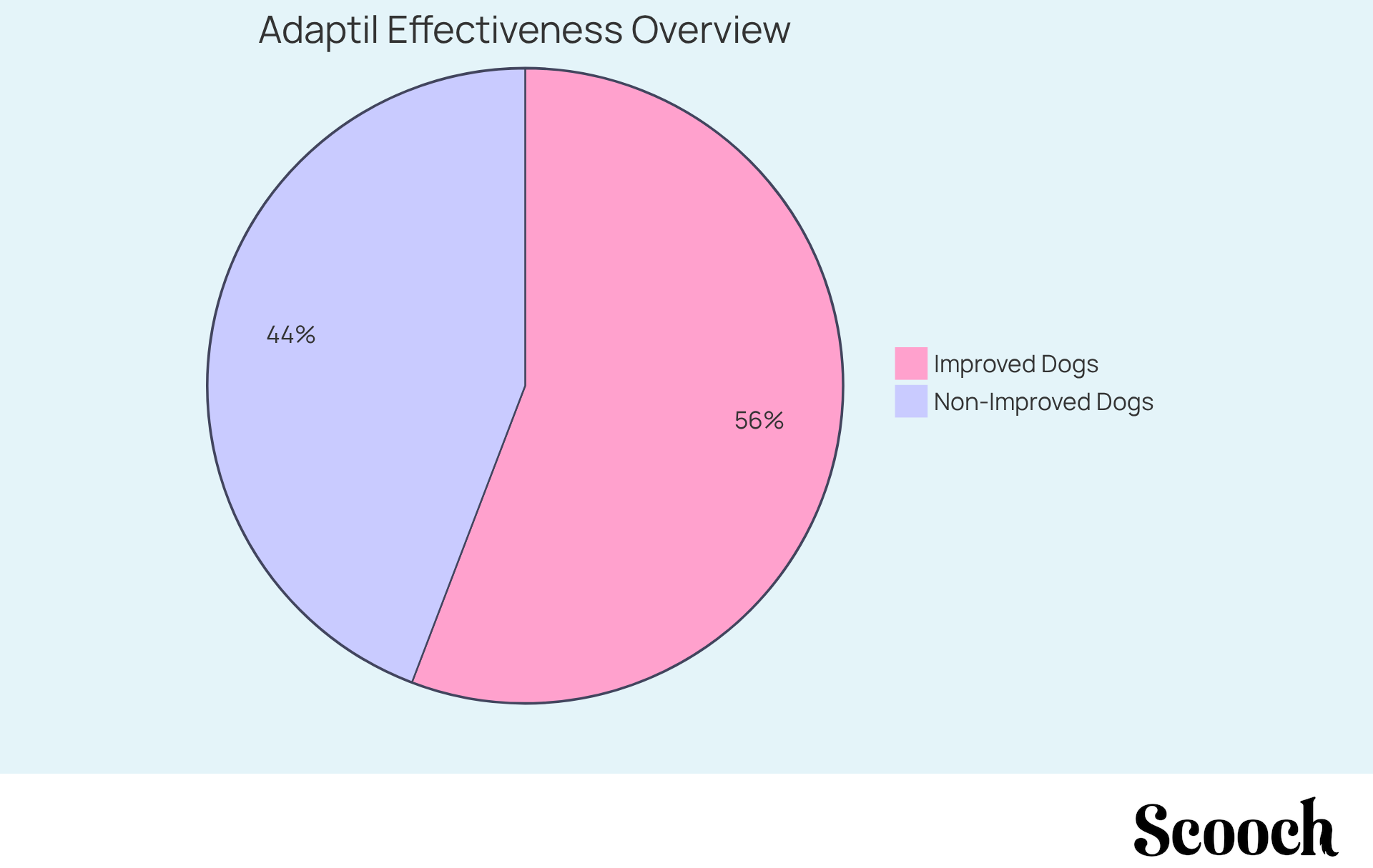 The blue segment shows the percentage of dogs that felt better after using Adaptil, while the gray segment represents those that did not experience significant changes. This helps you see how effective the solution can be for anxious dogs.