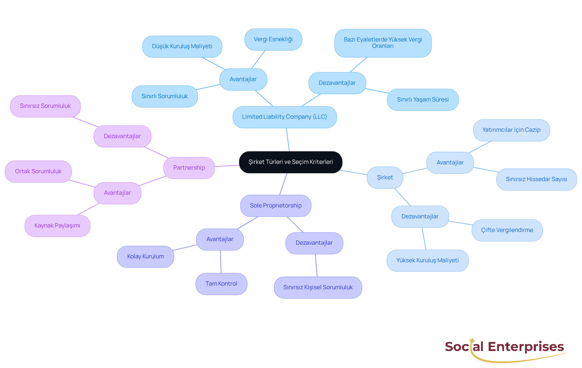 Merkezdeki başlık, tüm şirket türlerini kapsar. Her dal, belirli bir şirket türünü temsil eder ve altındaki açıklamalar, o türün ne gibi avantajlar sunduğunu gösterir. Renkler, farklı türlerin kolayca ayırt edilmesini sağlar.