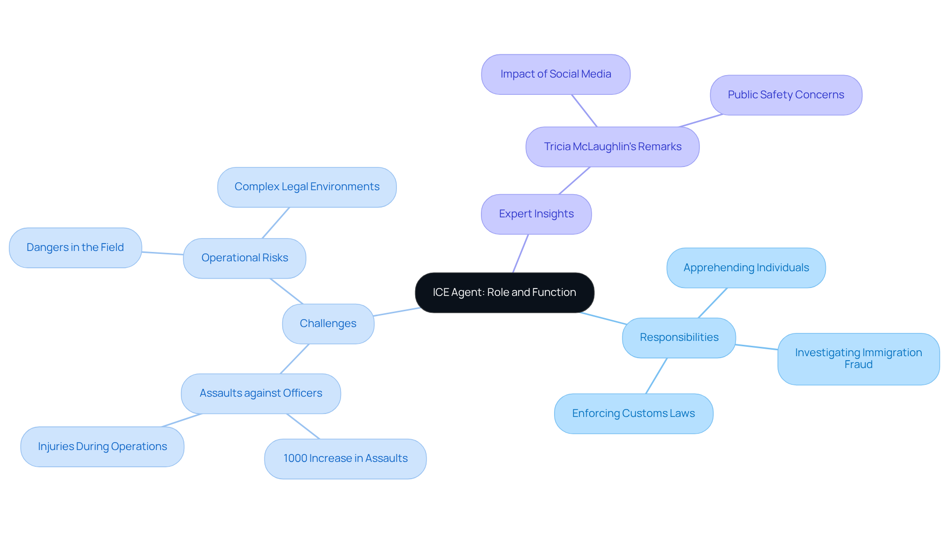Begin at the center with the definition of an ICE agent, then explore the branches to see their various responsibilities and the challenges they face while carrying out their important work.