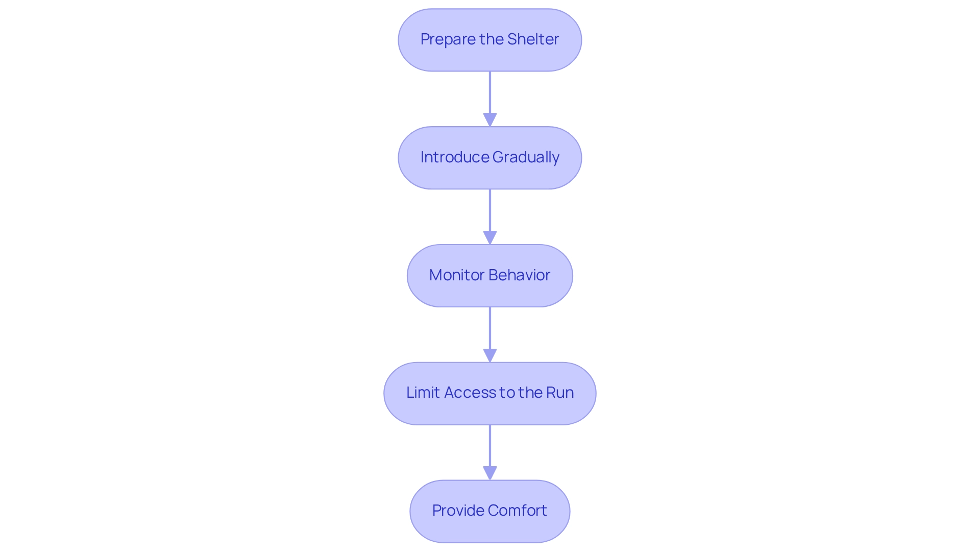 Follow the arrows from one step to the next. Each box represents an important action that helps your chickens adapt to their new home. The smooth flow ensures that you don't miss any critical steps in the process.